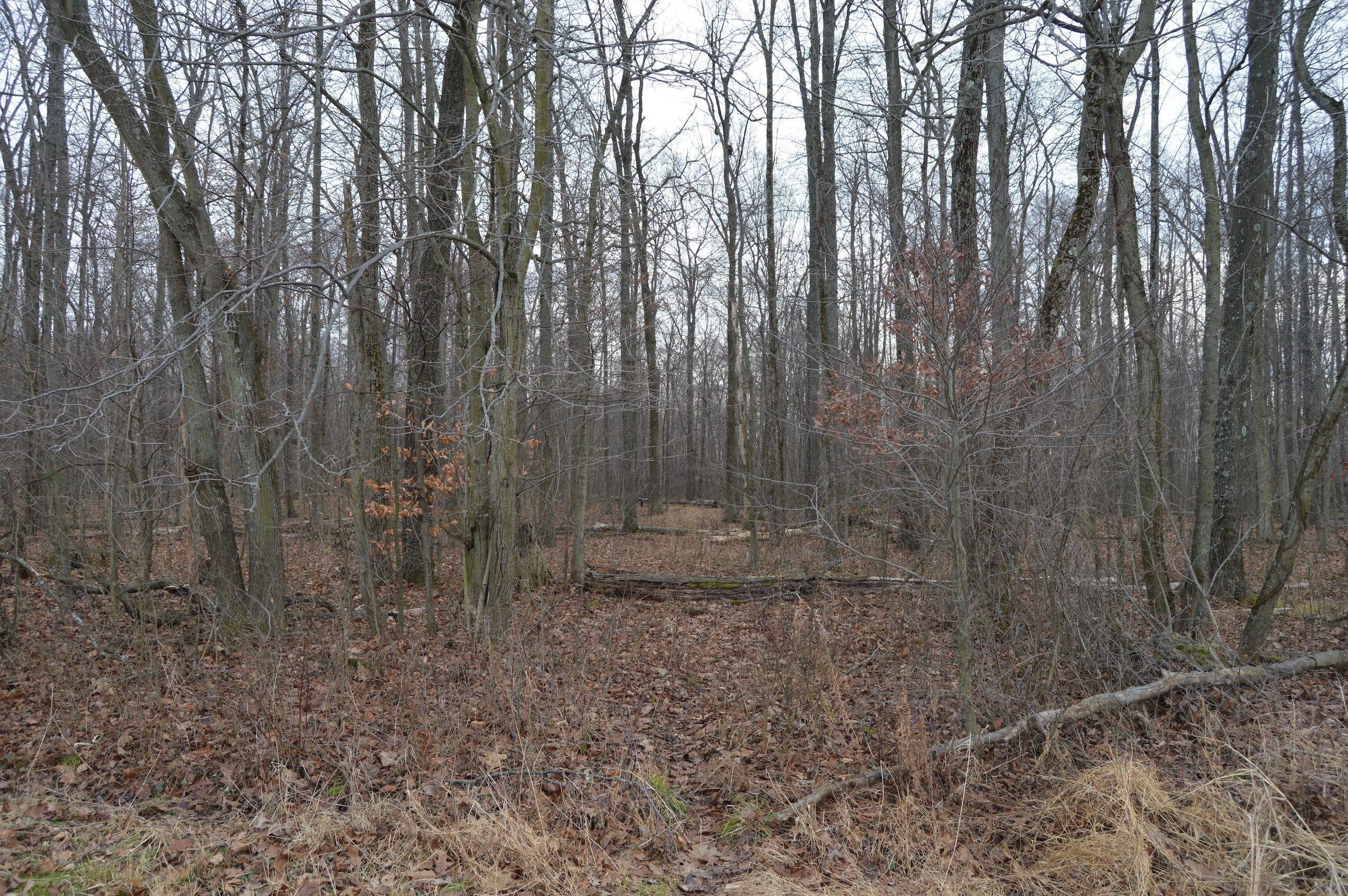 0 E Twp Road 8, Lot#WP002, Republic, OH 44867 | Land and Farm