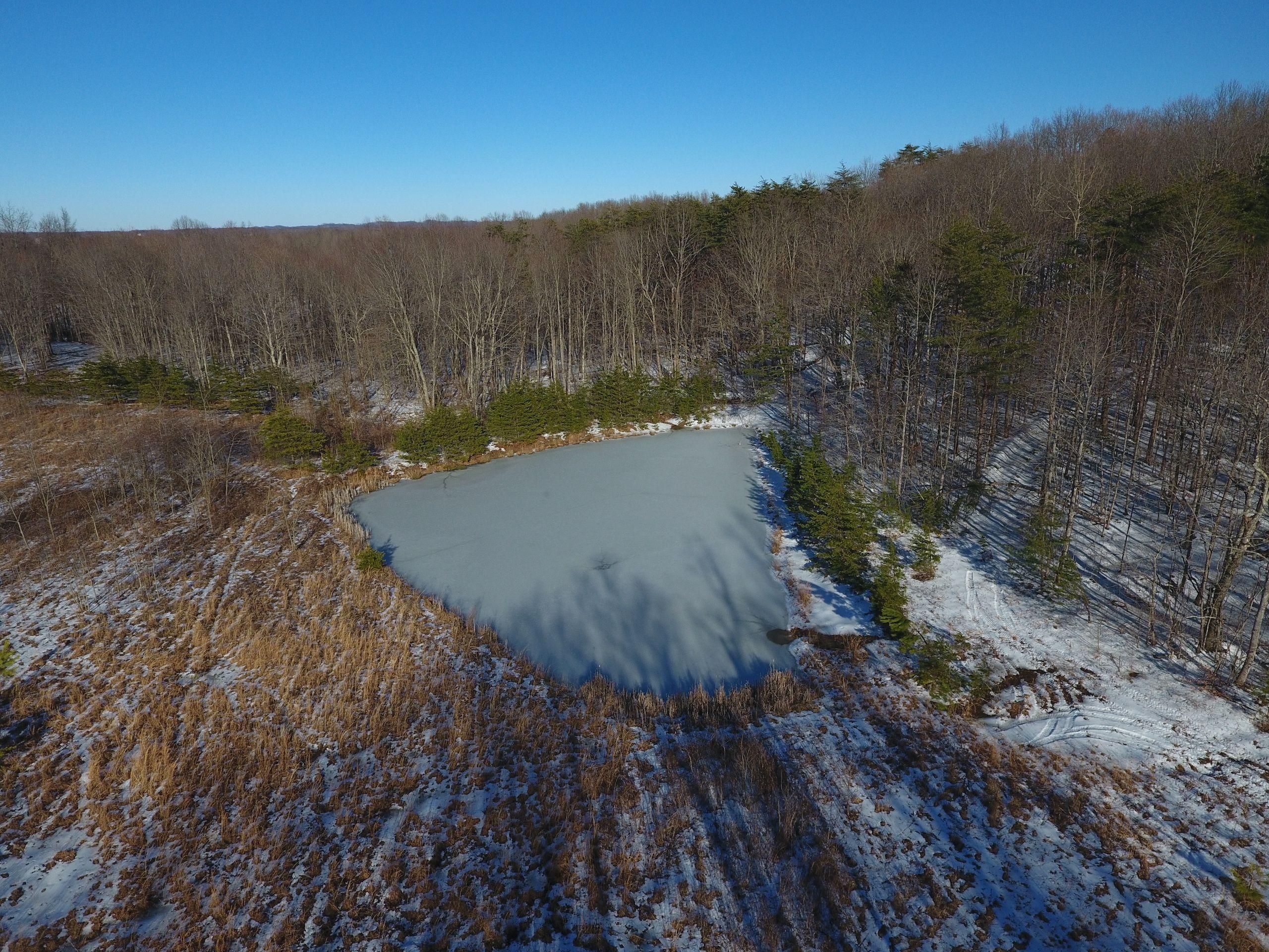 70 Acres, 975 Thorpe Ridge Rd, Lot# WP0001, Wallingford, KY 41093 ...