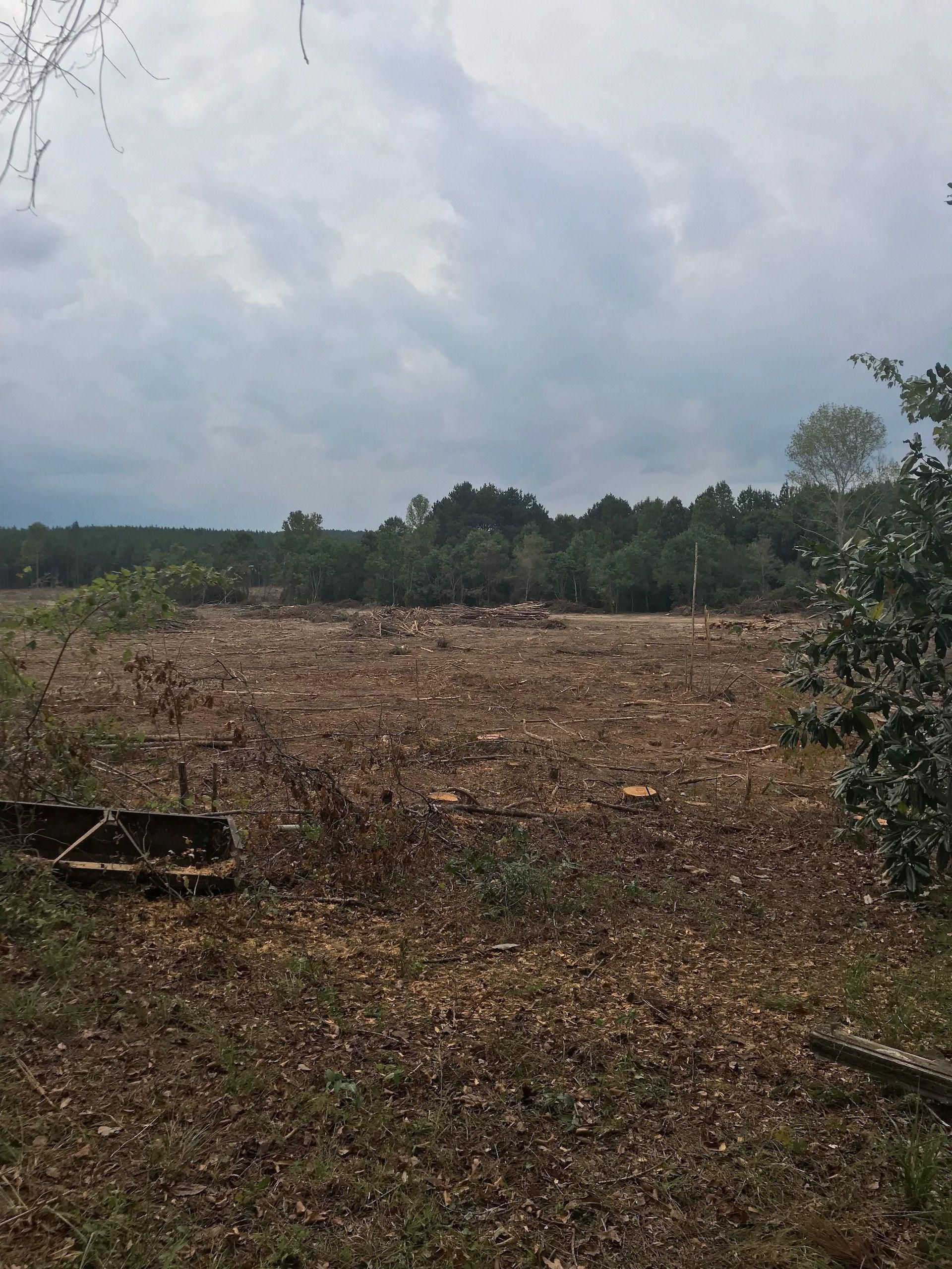 County Road 503, Lot#WP01, Paulding, MS 39348 | Land and Farm