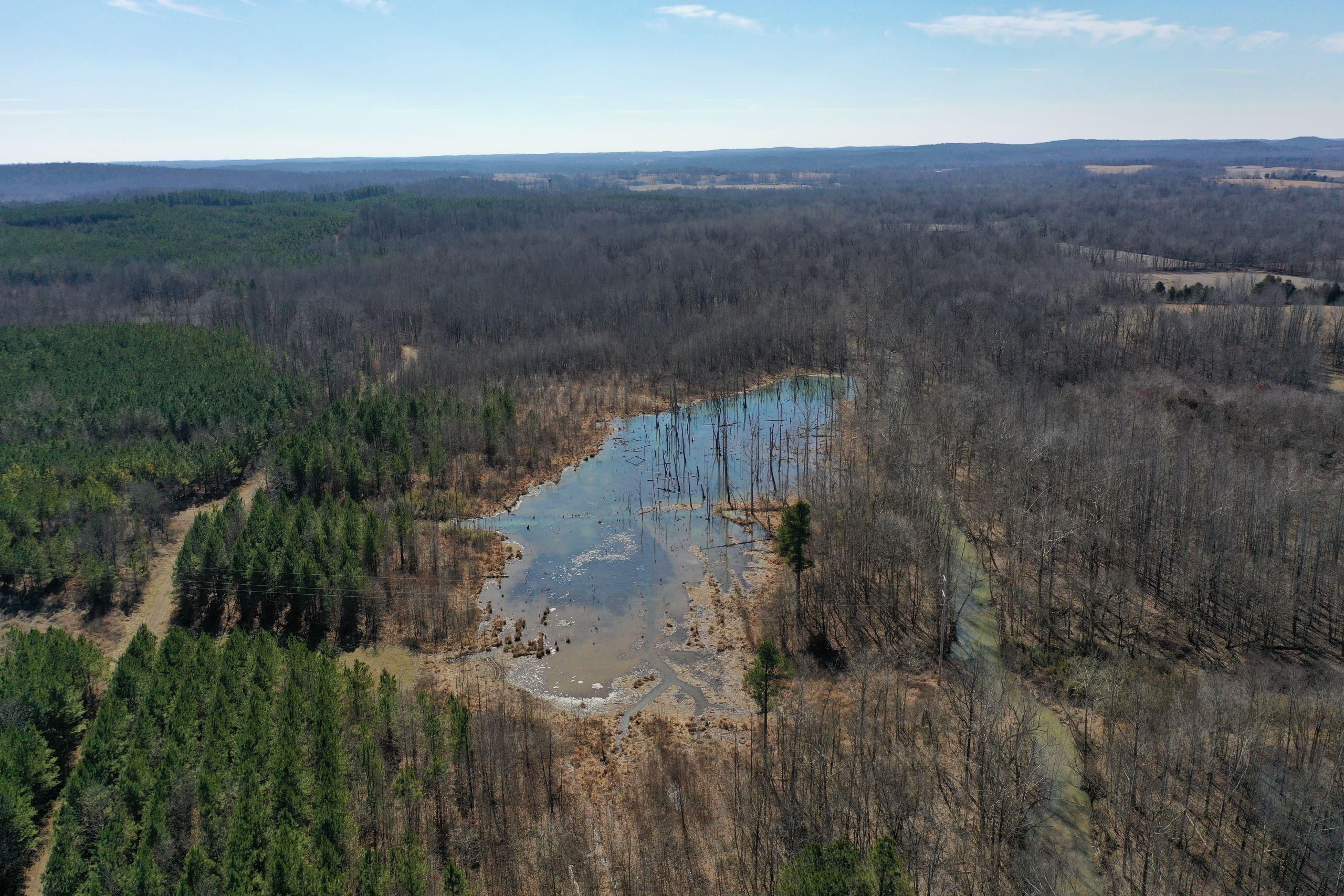 Highway 1433, Lot #WP001, Burna, KY 42028 | Land and Farm