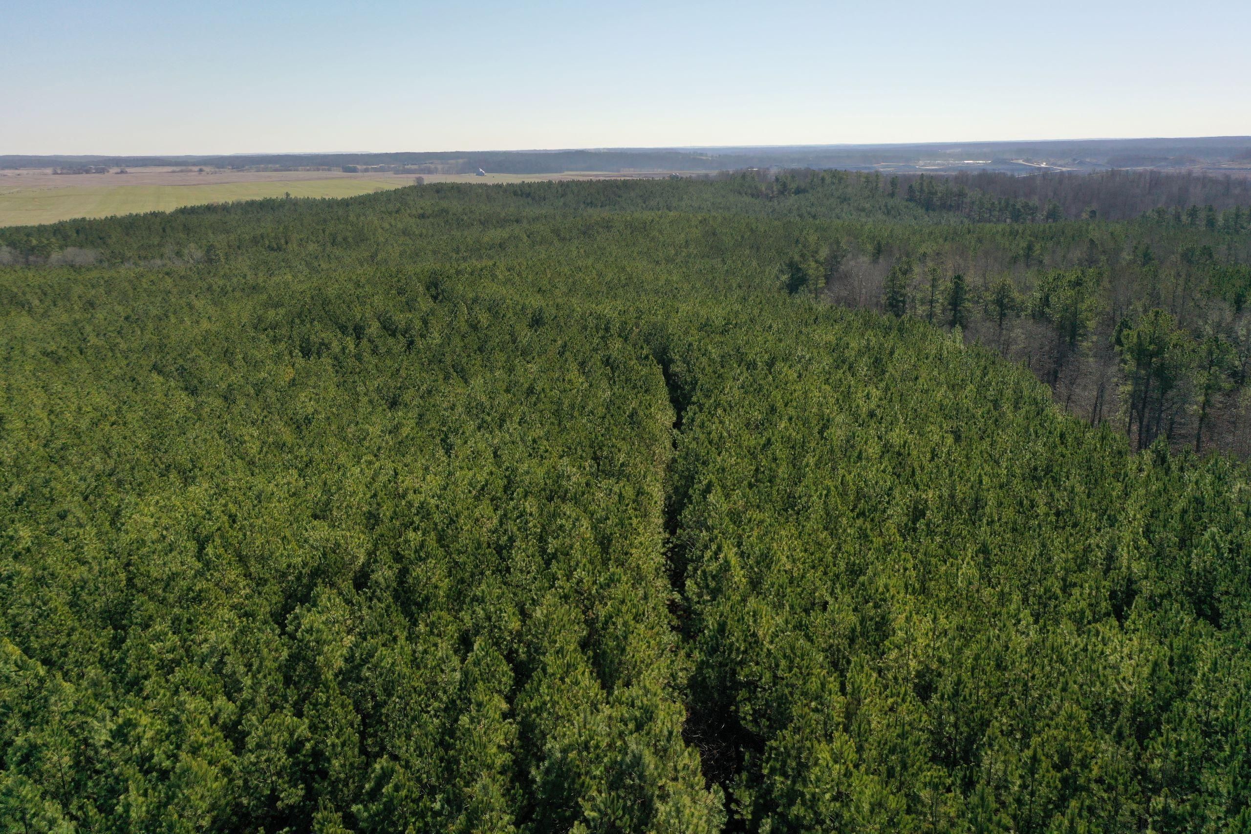 Cobb Road, Lot #WP001, Burna, KY 42028 | Land and Farm