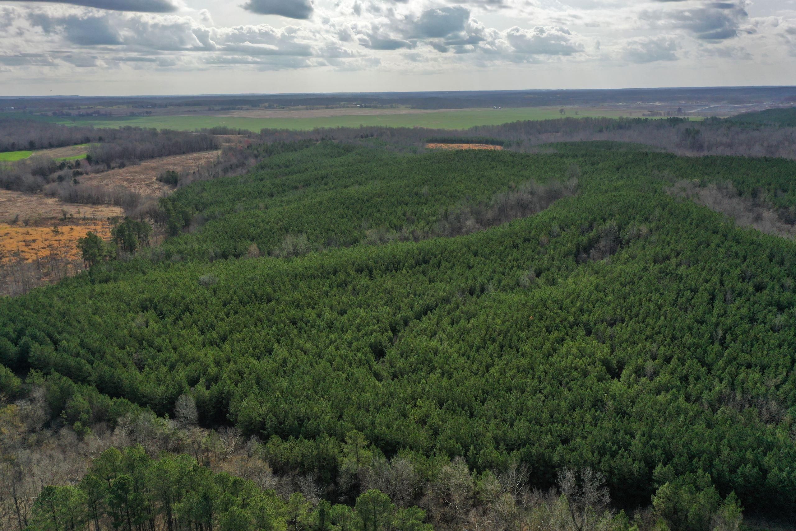 Highway 1433, Lot# WP0001, Burna, KY 42028 | Land and Farm