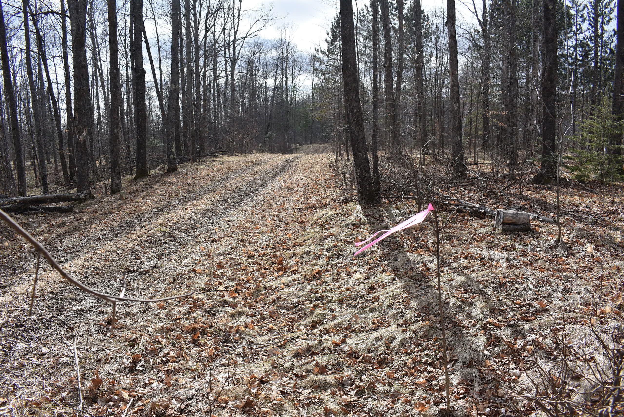Morgan Lake Road, Long Lake, WI 54542 | Land and Farm
