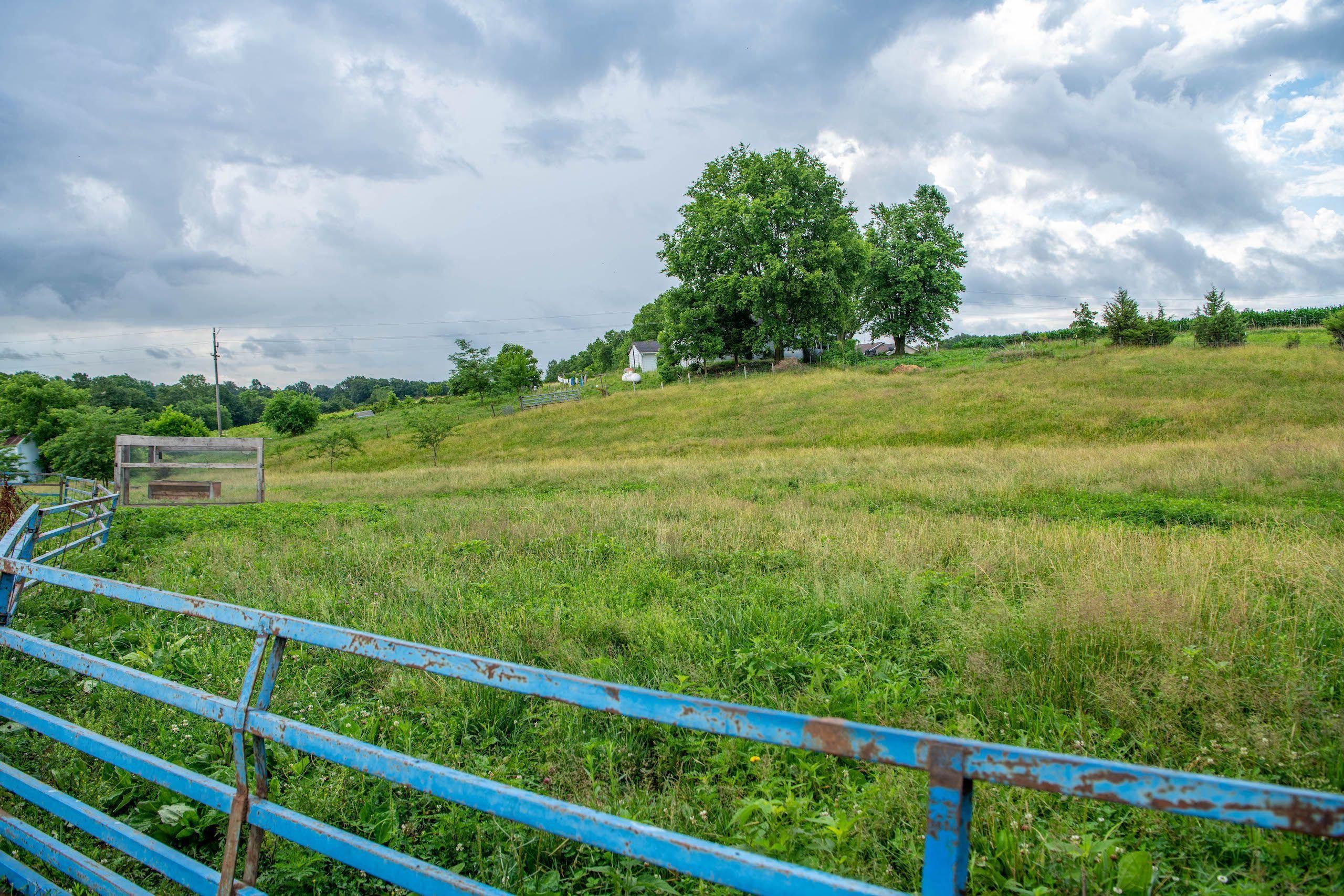 36478 175th Ave, Lot#WP001, Pleasant Hill, IL 62366 | Land and Farm