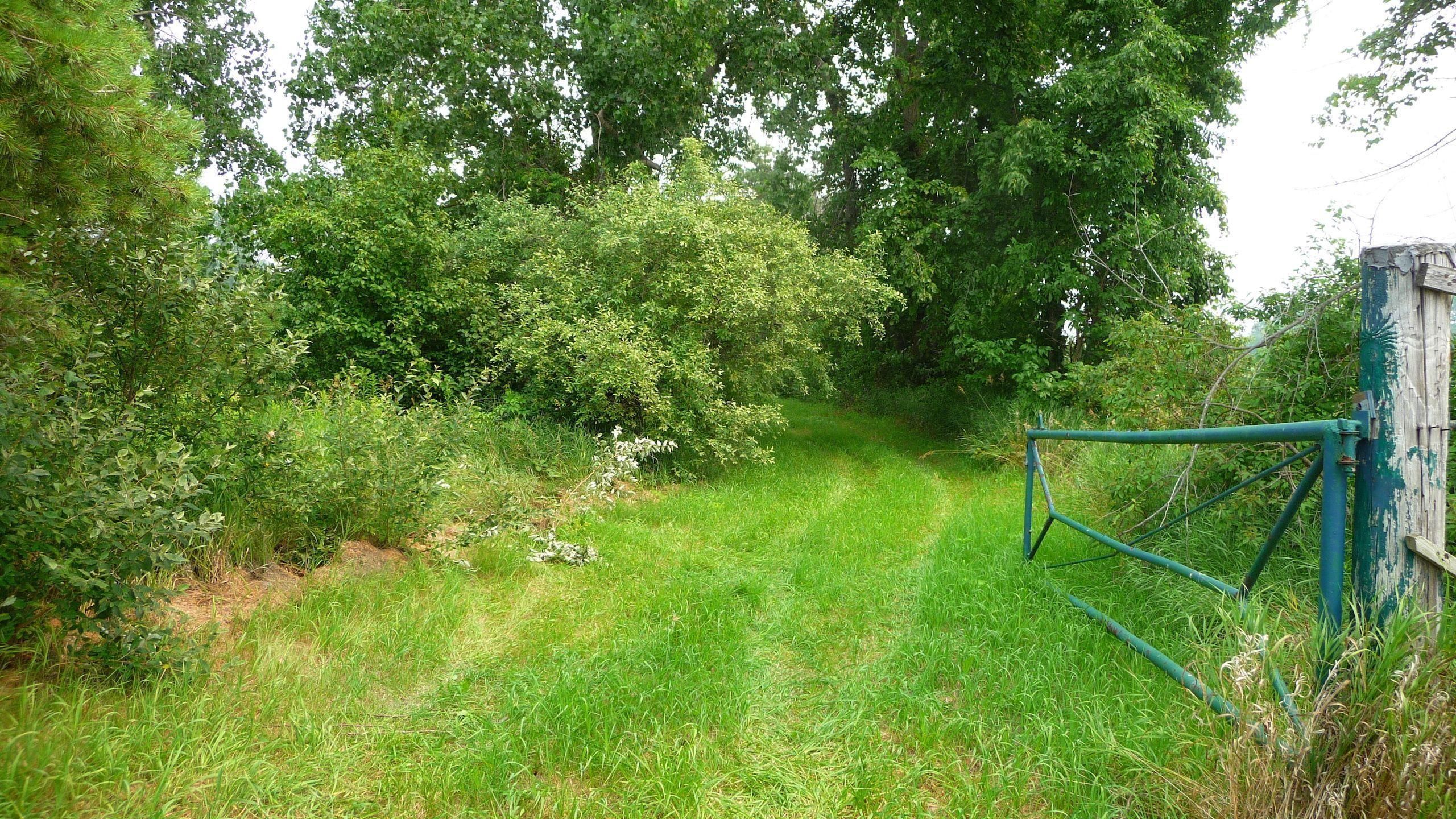 V/L N 7 Mile Road, LOT#WP001, Pinconning, MI 48650 | Land and Farm