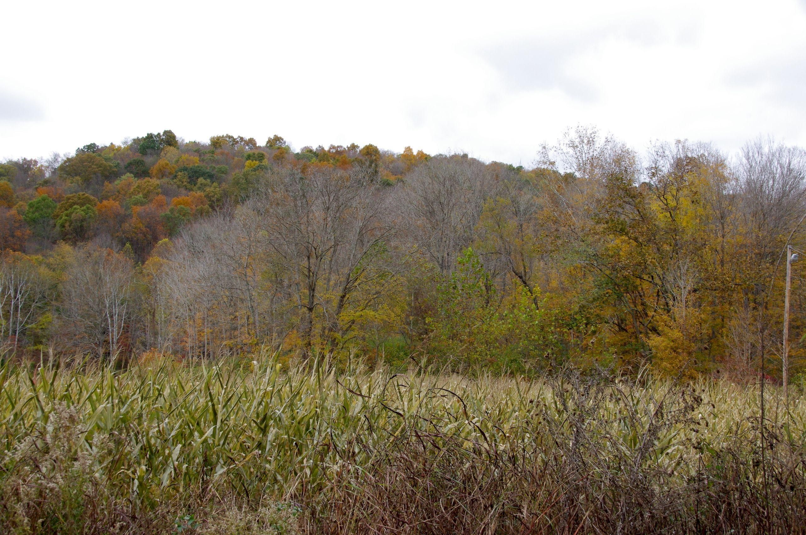 10487 State Route 772, WPLot#001, Rarden, OH 45671 | Land and Farm