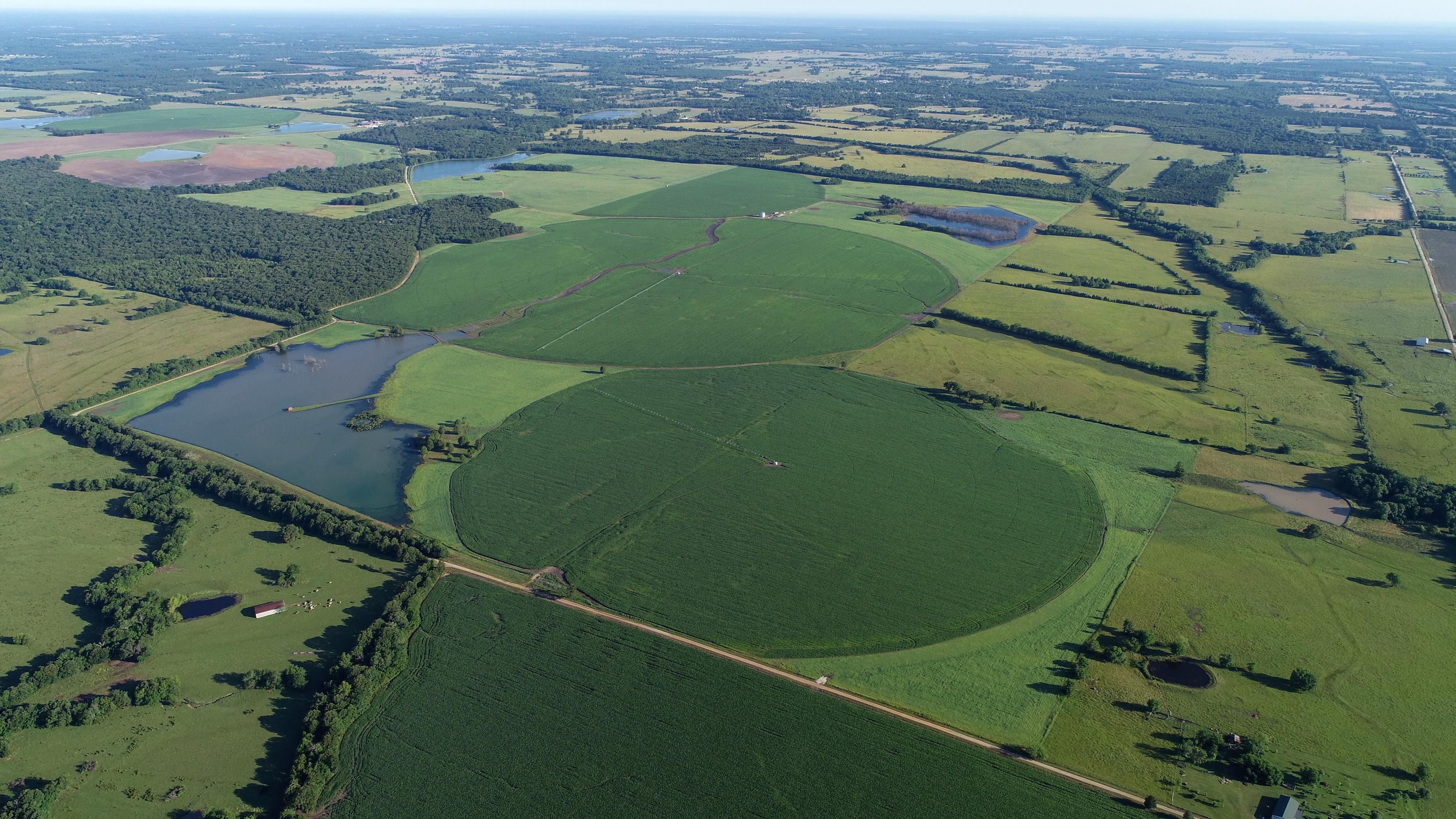 1,310 acres in Detroit, TX, 75436 | Land and Farm