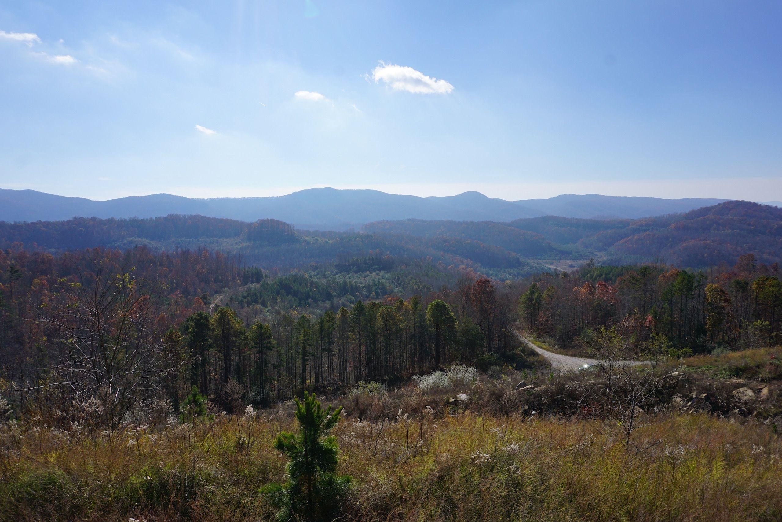 Rural Route, Duff, TN 37729 | Land and Farm