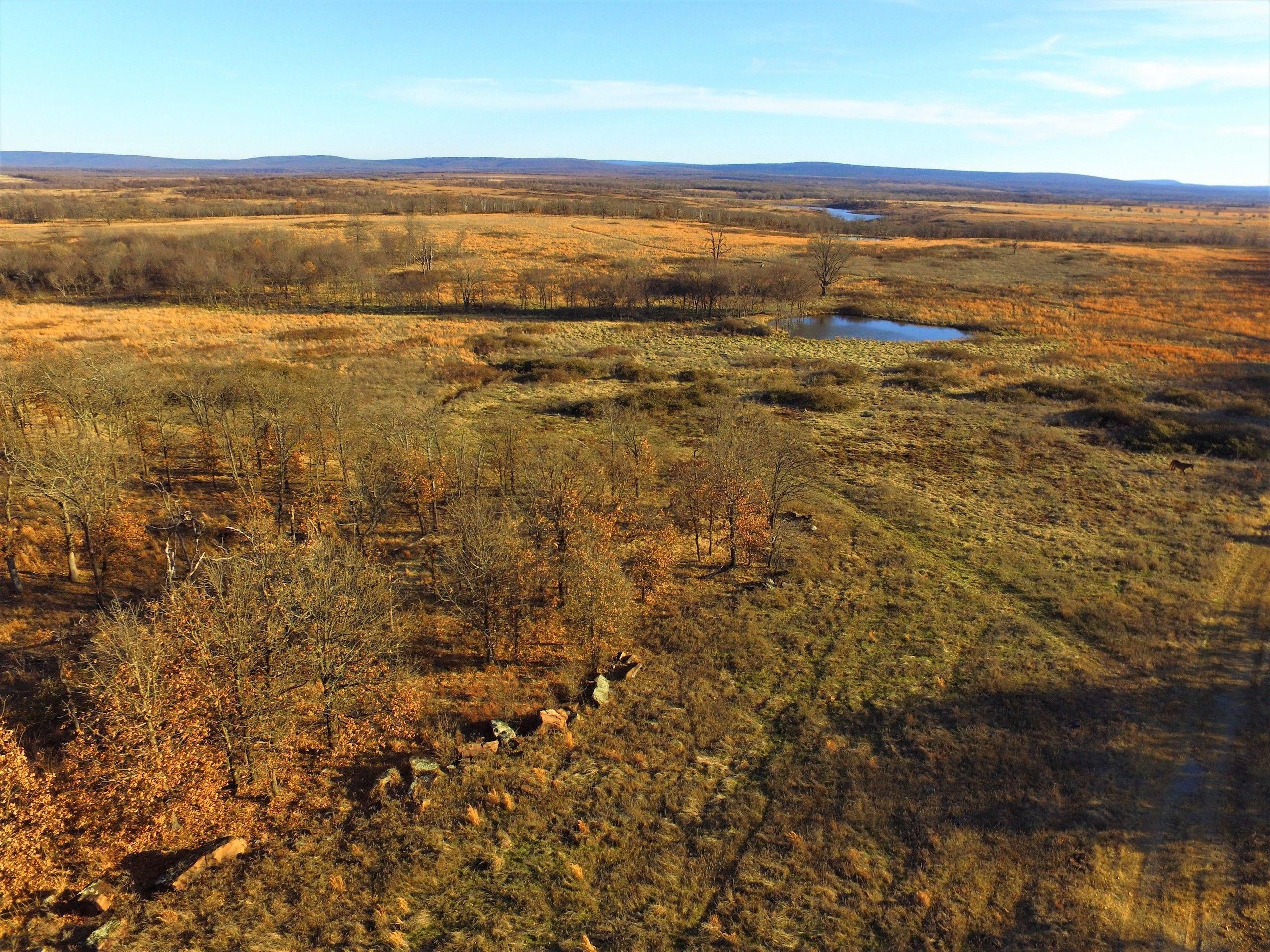 Blanco Road, Blanco, OK 74501 | Land and Farm