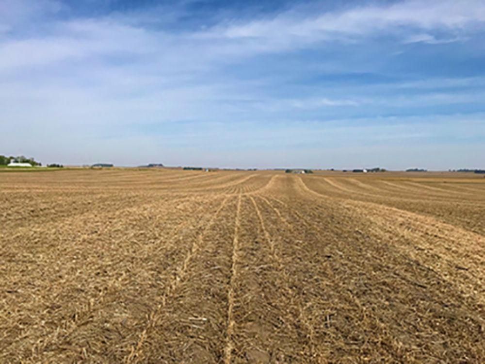 326.94 Acres, Austinville, IA | Land and Farm