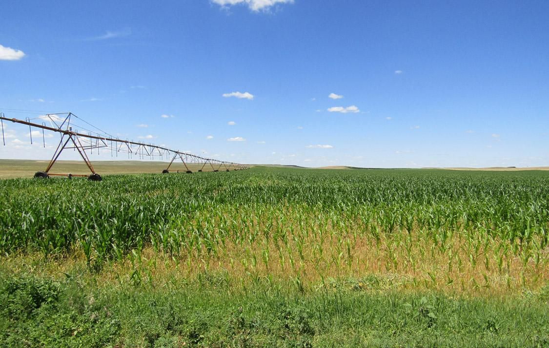 2480 590th Road, Gordon, NE 69343 | Land and Farm