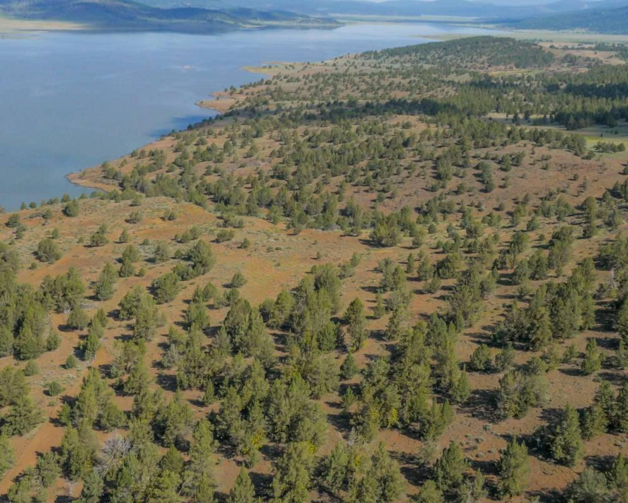 190 Acres Drew's Reservoir, Lakeview, OR 97630 | Land and Farm
