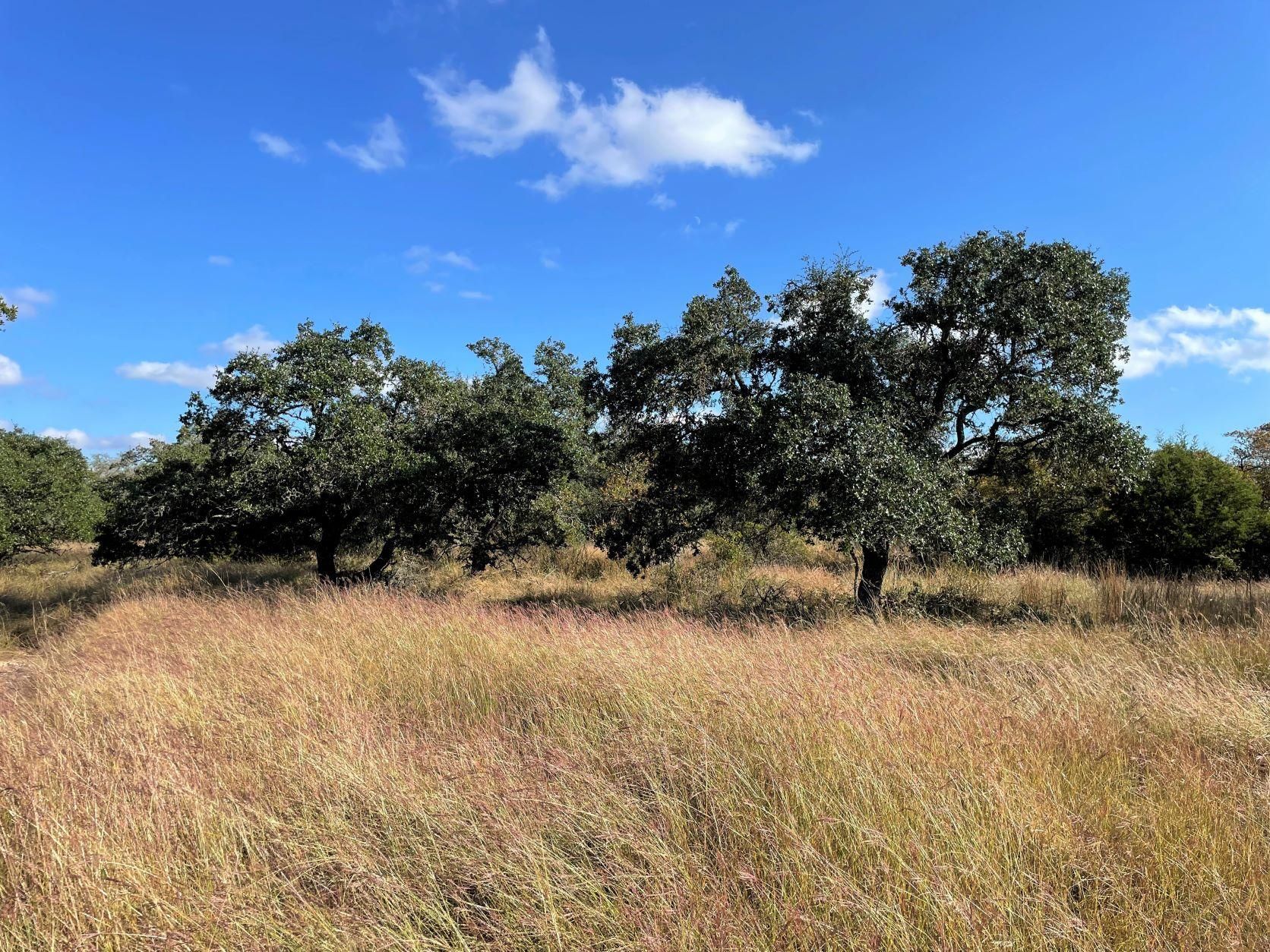 20 acres in Harper, TX, 78631 | Land and Farm