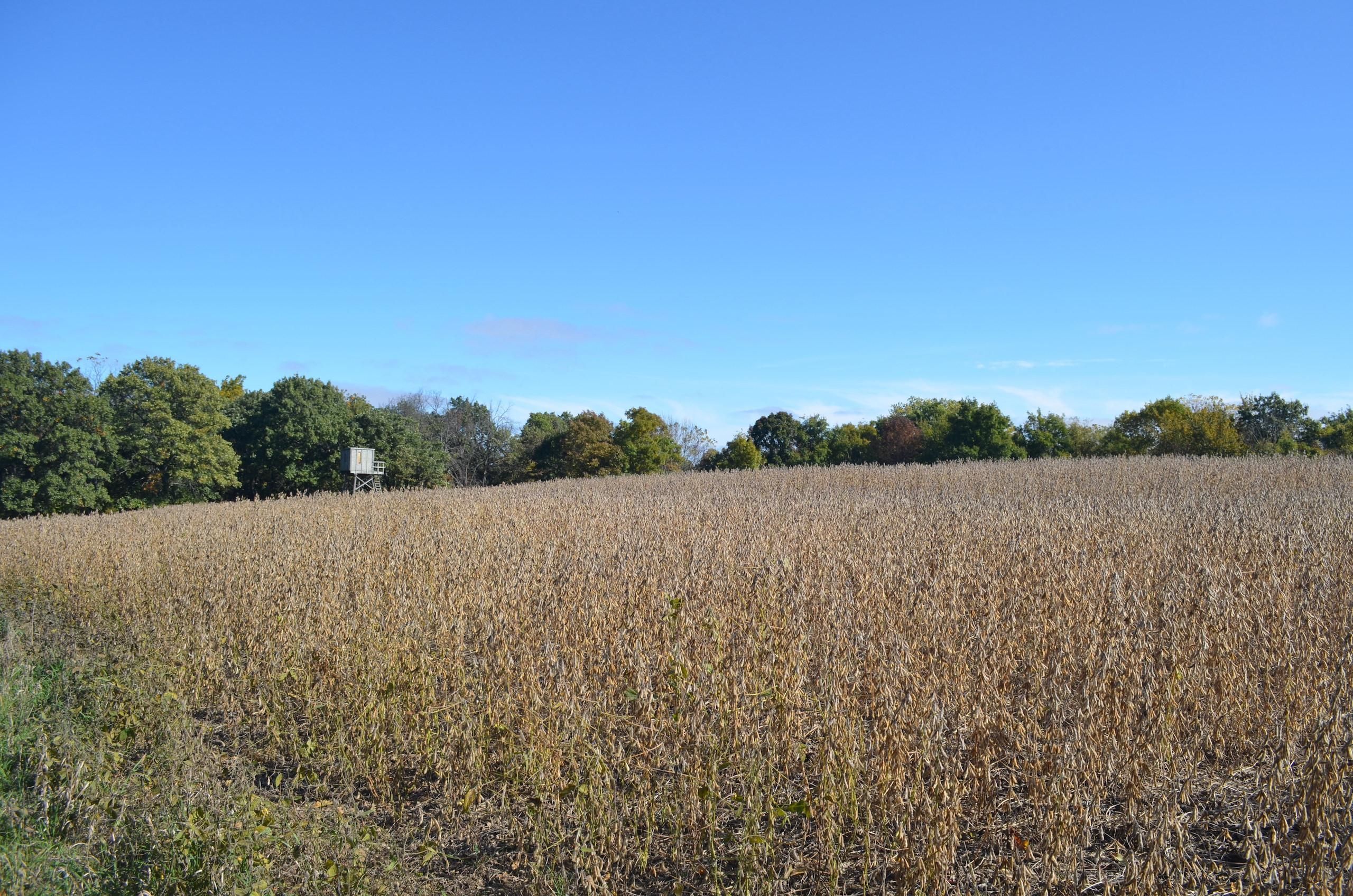 65512 718th Road, Lot#WP001, Barada, NE 68355 | Land and Farm