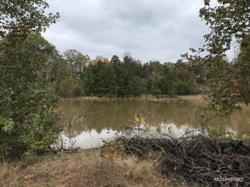 4.59 acres in Grayson, LA, 71435 | Land and Farm