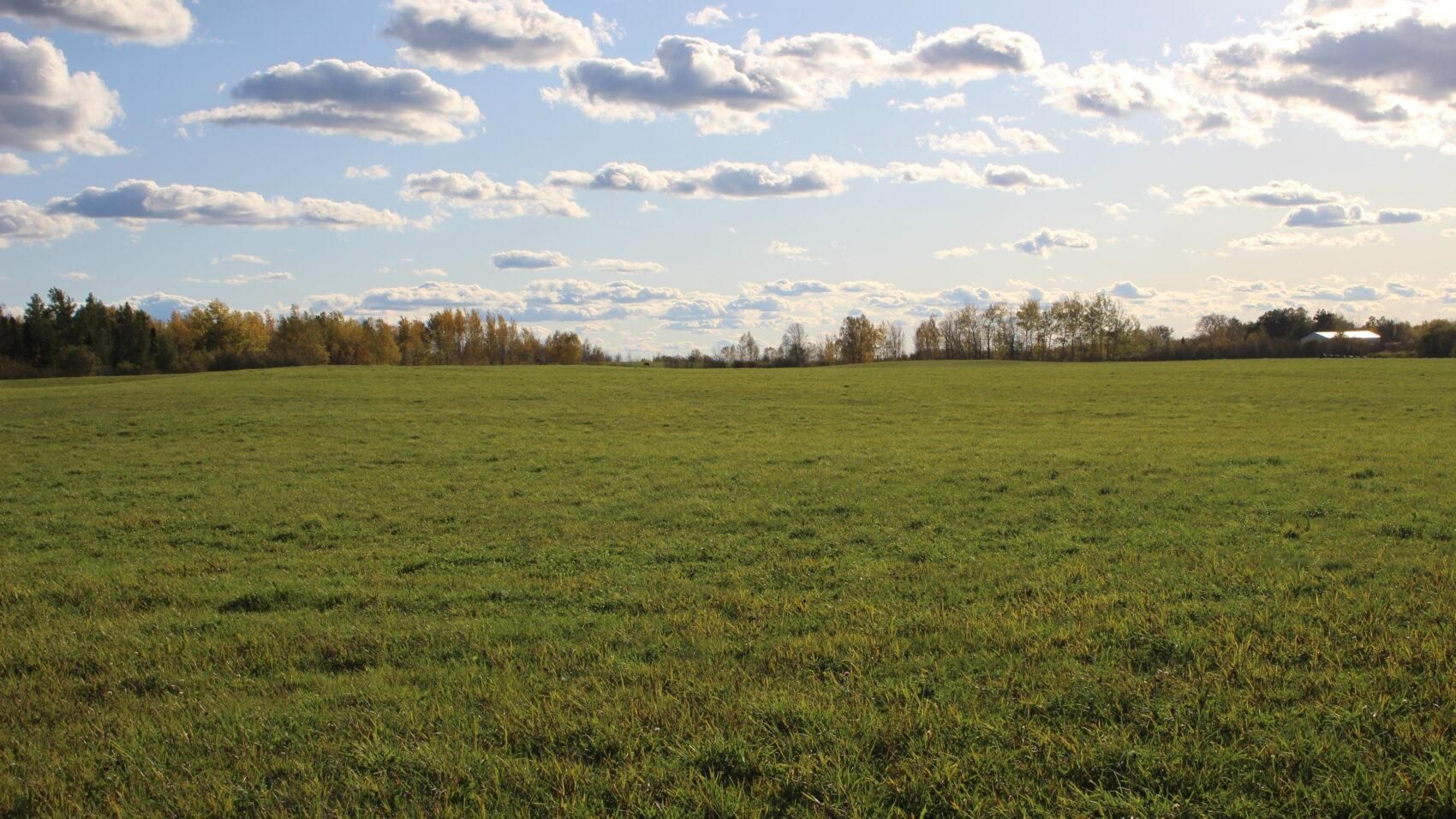 #A5-901, Brookston, MN 55711 | MLS: 310-0010-04934 | Land and Farm