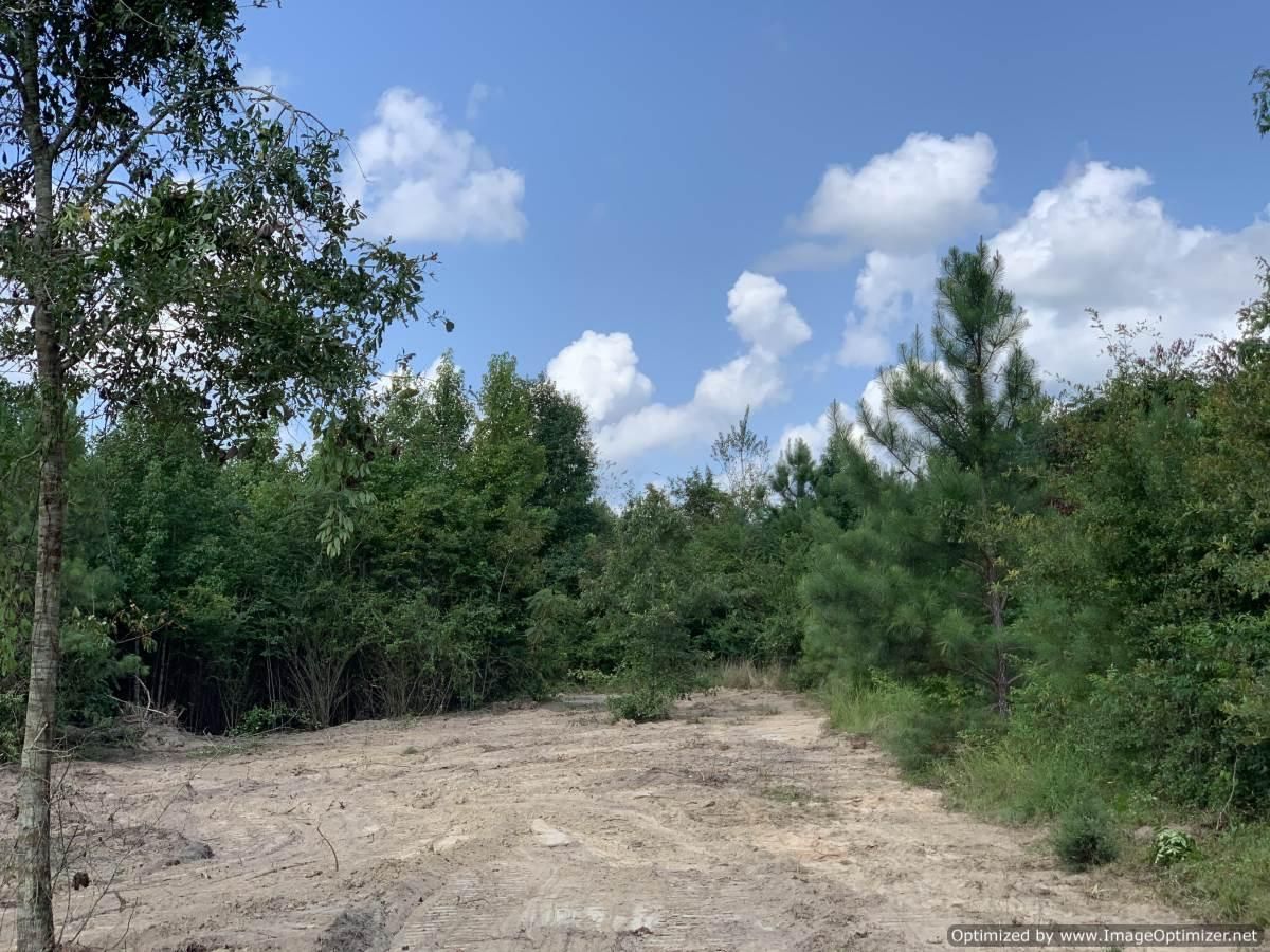 Mill Branch Road, Pulaski, MS 39152 | MLS: 1343557 | Land and Farm