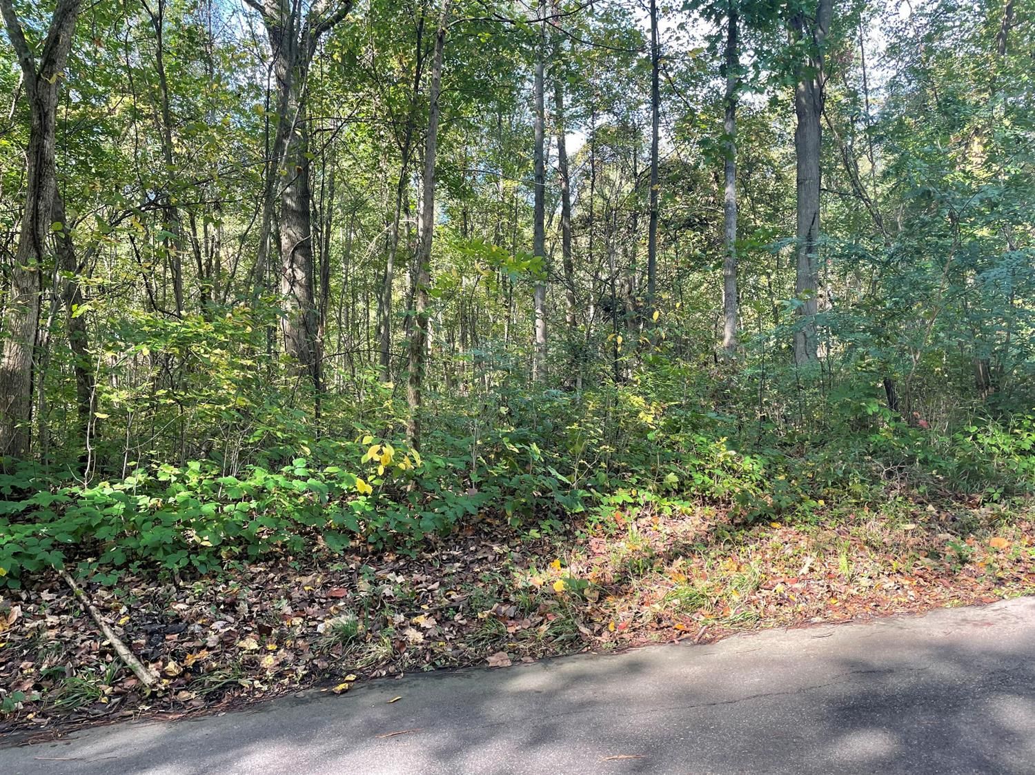 5.26 Acres, 0 N 500 E, Rolling Prairie, IN 46371 | Land and Farm