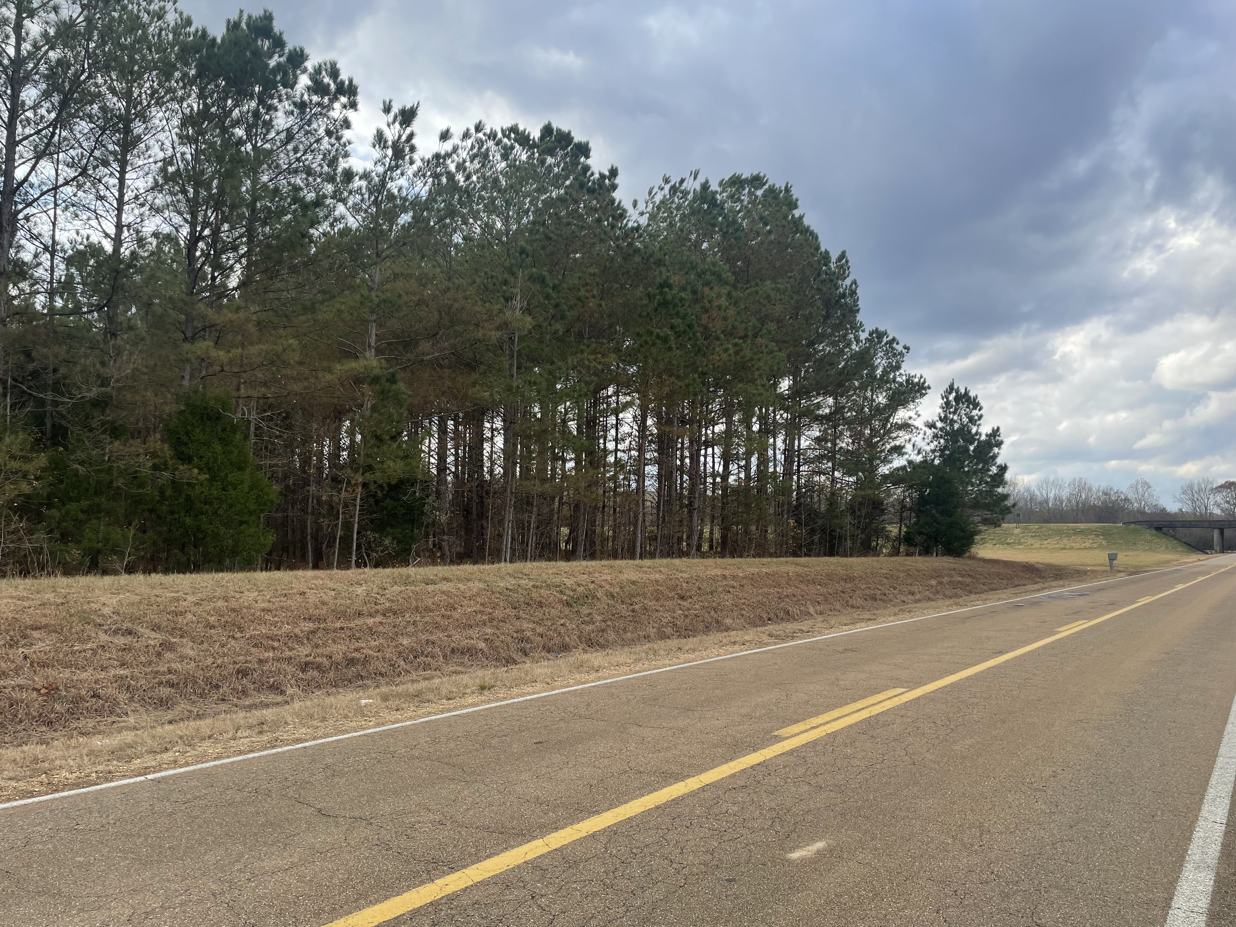 5 acres in Houston, MS, 38851 | Land and Farm