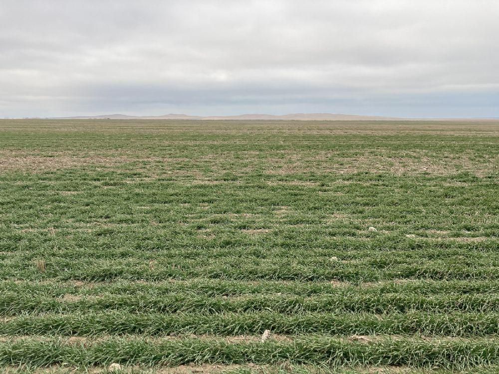 160 acres in Agar, SD, | Land and Farm