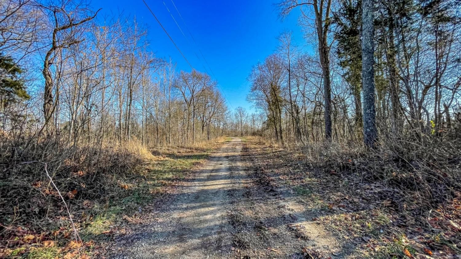 321 Ginger Lane Lane, Lynx, OH 45693 | MLS: 1724508 | Land and Farm
