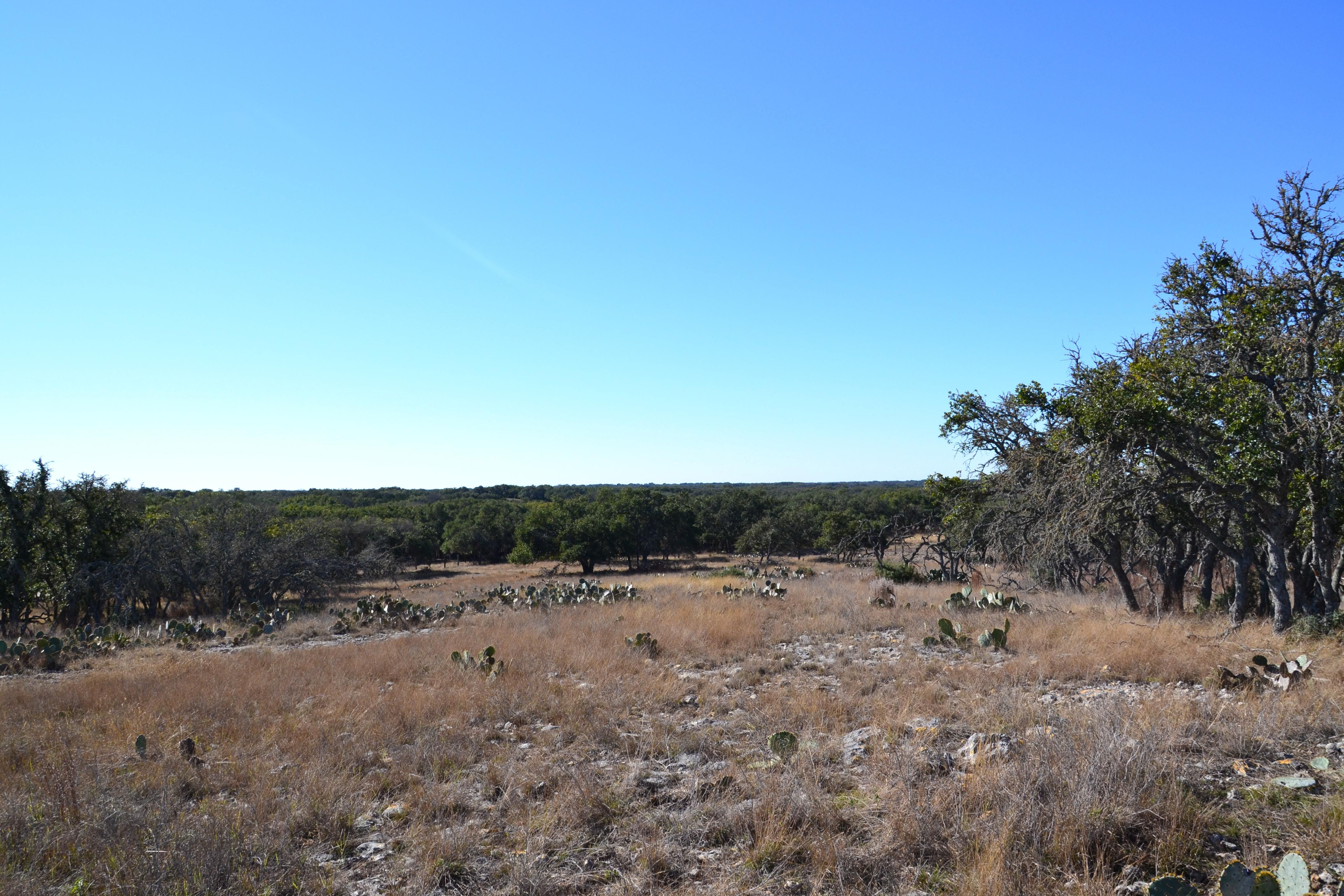 24.91 acres in Harper, TX, 78631 | Land and Farm