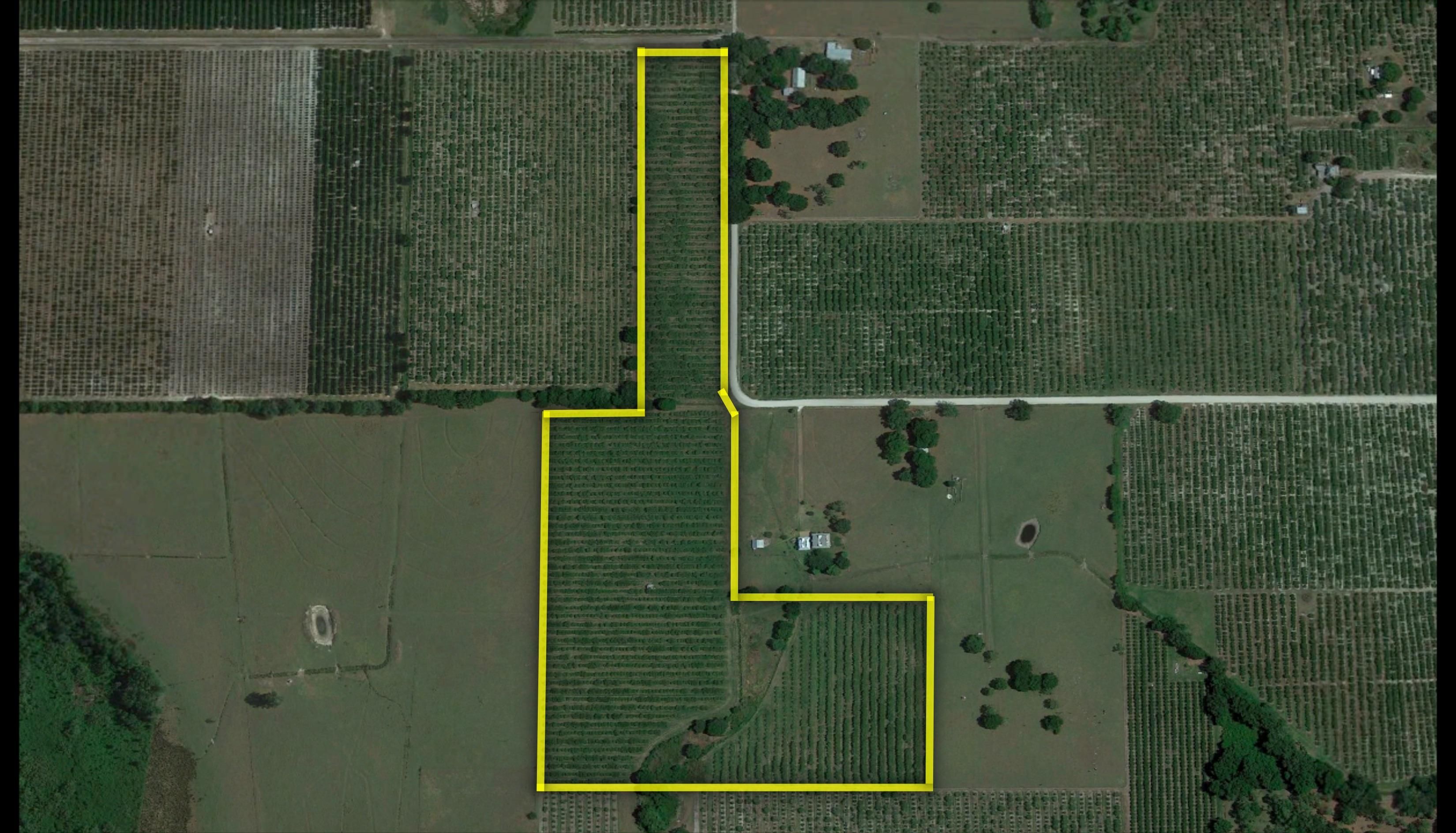 Rhynn Rd, Wauchula, FL 33873 | Land and Farm