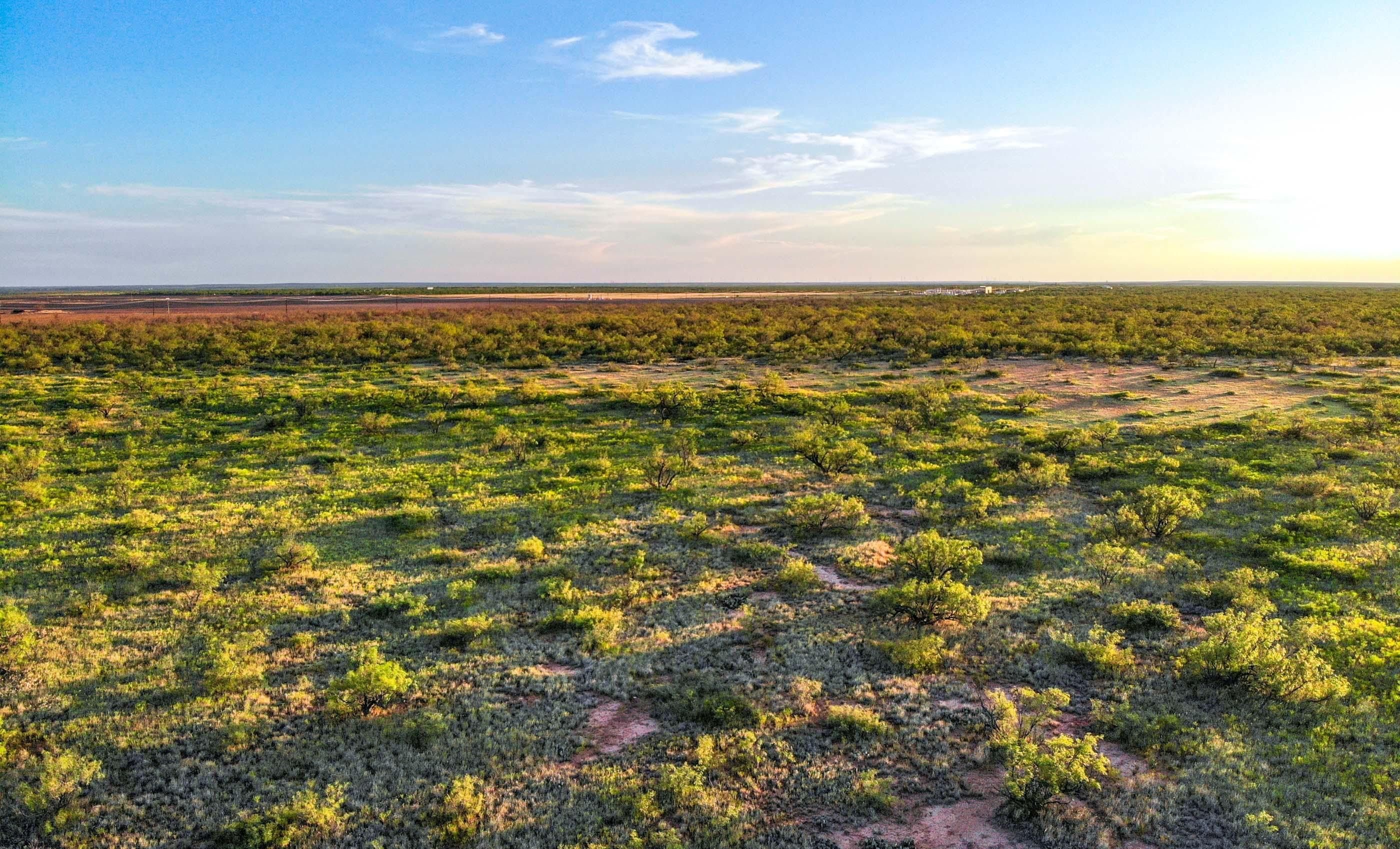 320.47 acres in Vincent, TX, 79511 | Land and Farm