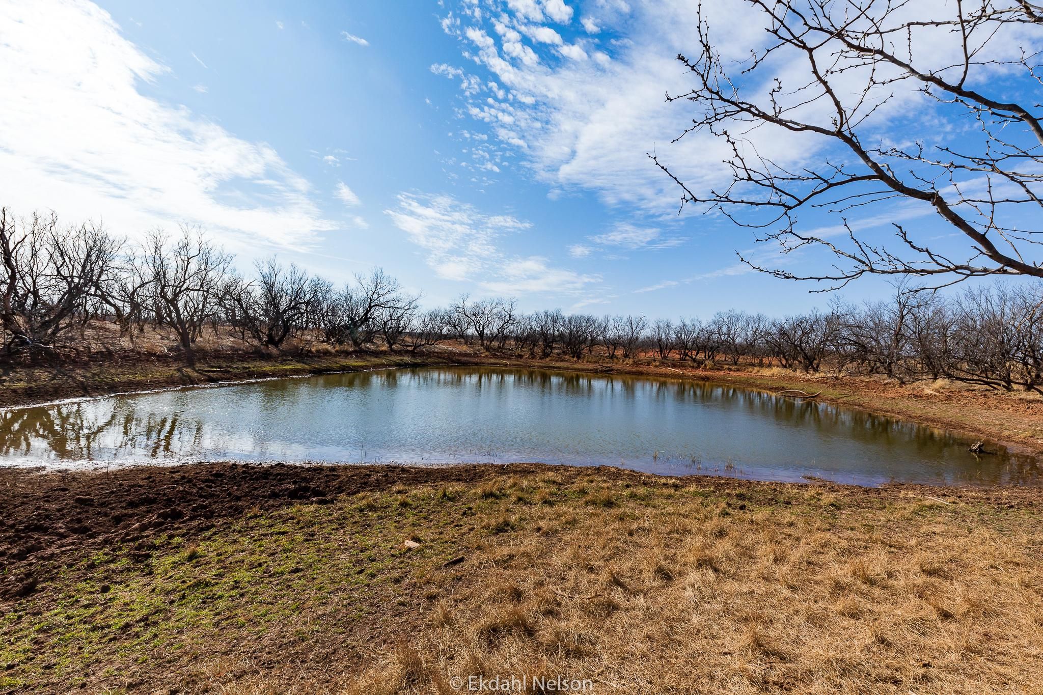 15995 County Road 466, Merkel, TX 79536 | Land and Farm