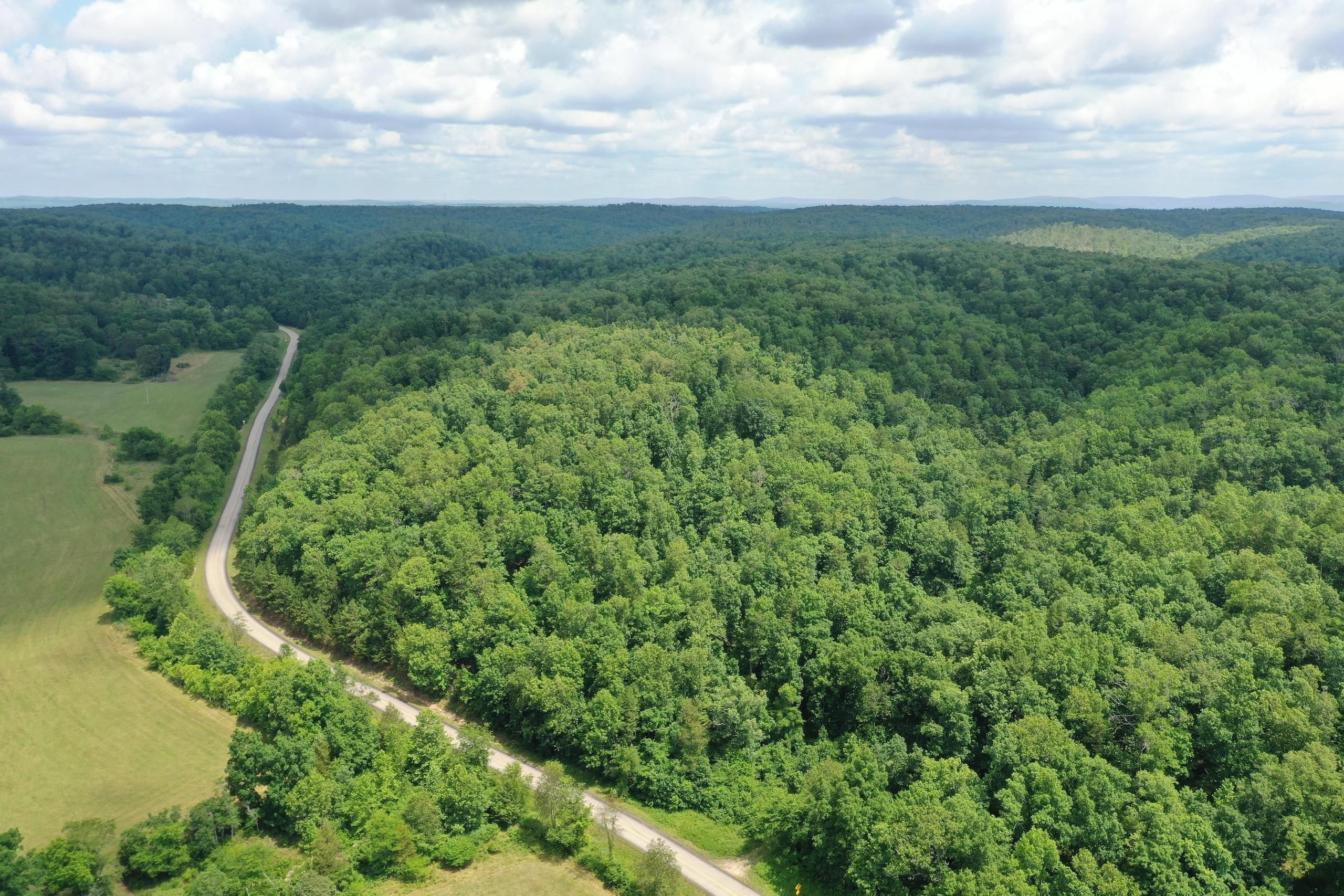 50 Acres, Highway V, Lot#WP003, Redford, MO 63655 | Land and Farm