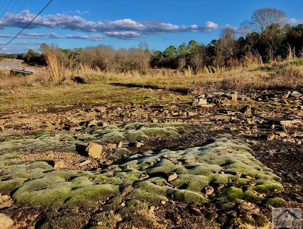 19.5 Acres, 000 Hwy 72W, Colbert, GA 30628 | Land and Farm