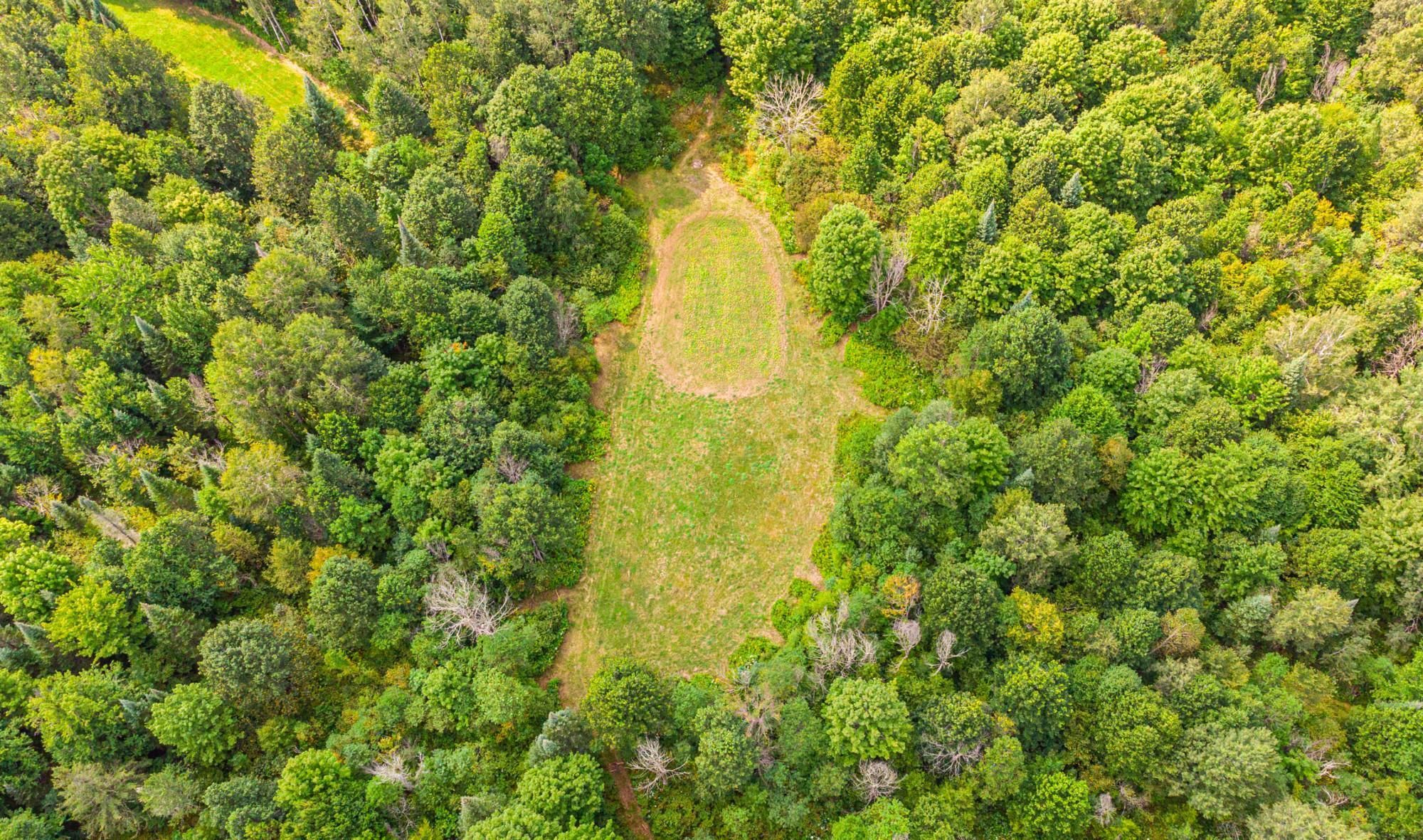 00000 Musser Dr, Emery, WI 54555 | MLS: Price 587 | Land and Farm