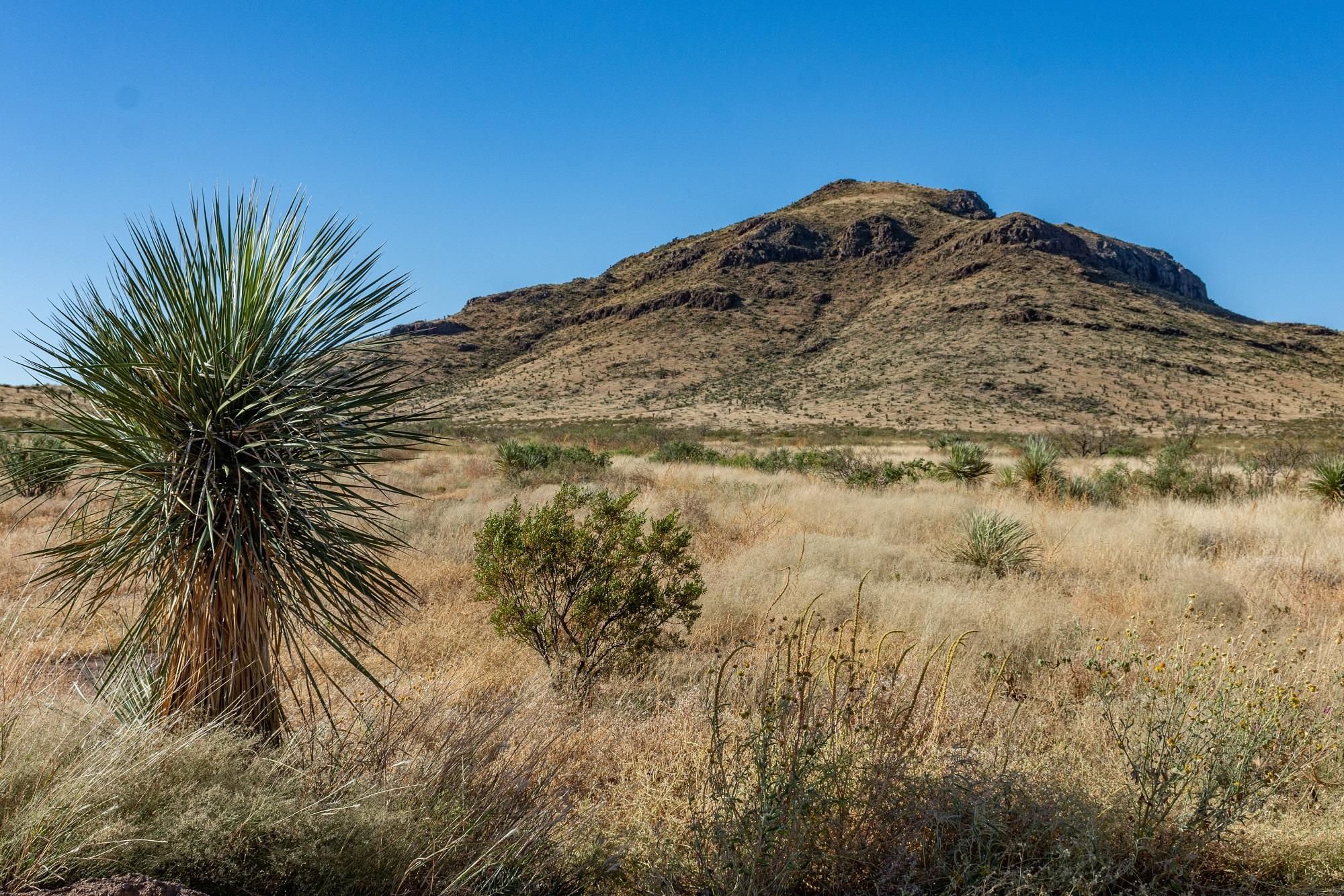 27,495 Acres, Van Horn, TX 79855 | Land and Farm