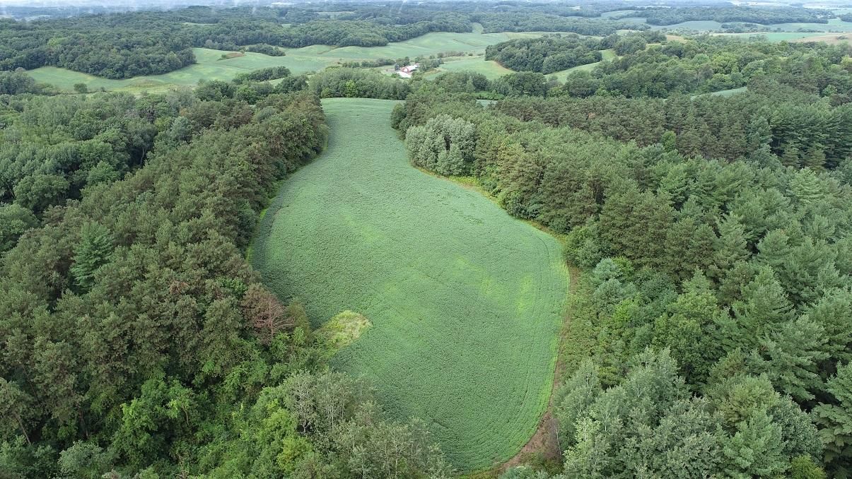 N46981 County Road D, Strum, WI 54770 | MLS: 1562103 | Land and Farm