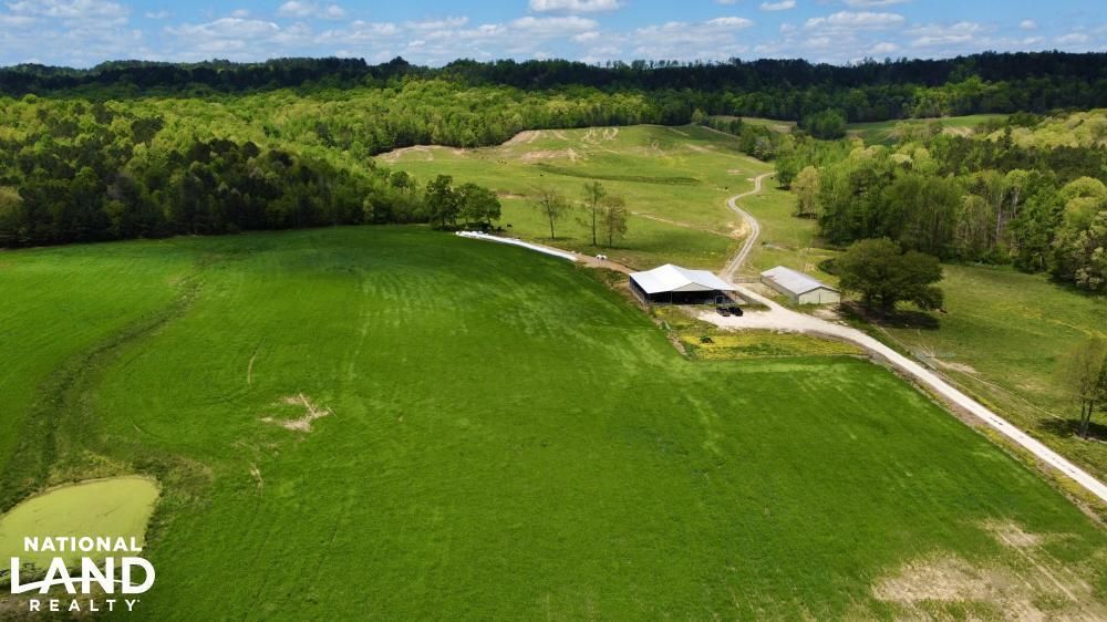 0 Airport Road, Oneonta, AL 35952 | Land and Farm
