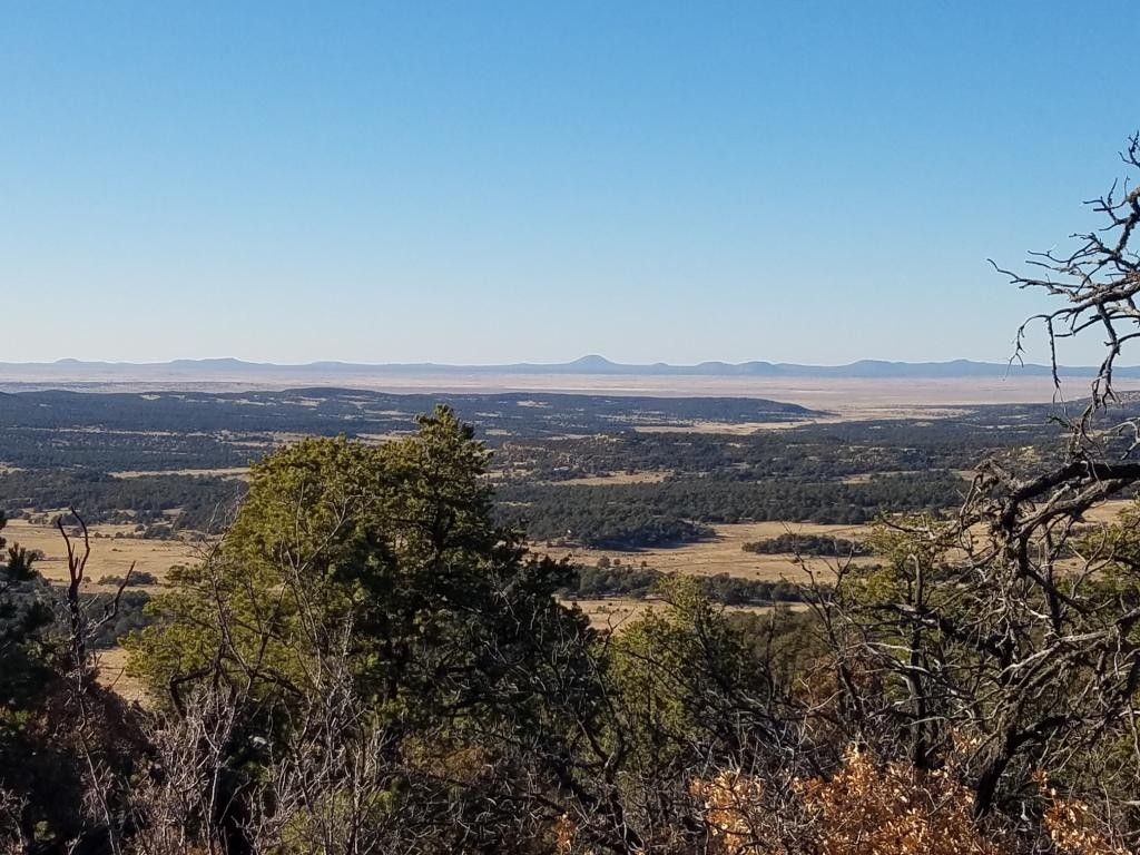 21.16 Acres, U3 Lot 7 Wild Horse Ranch, Pie Town, NM 87827 | Land and Farm