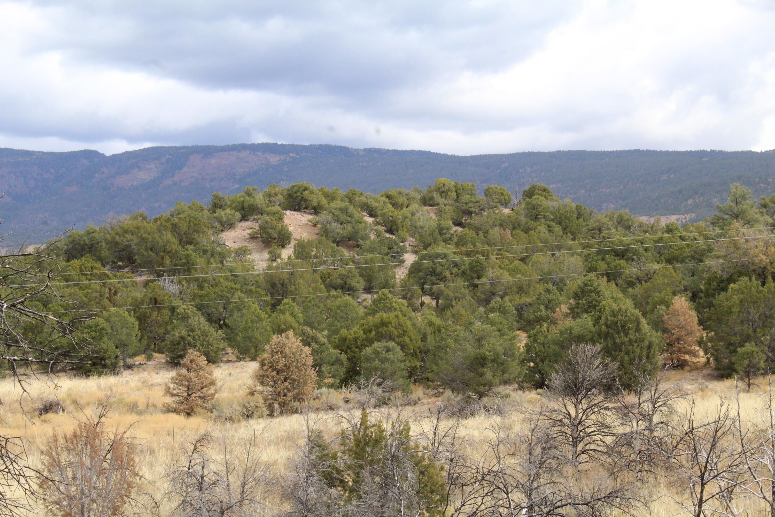 8 Acres, Tbd NM HWY 126, Cuba, NM 87013 | Land and Farm