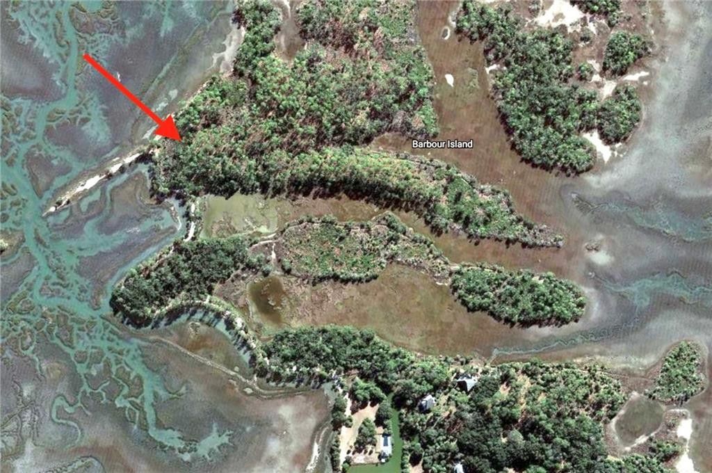 1.18 Acres, 81 Barbour Island, Townsend, GA 31331 | Land and Farm