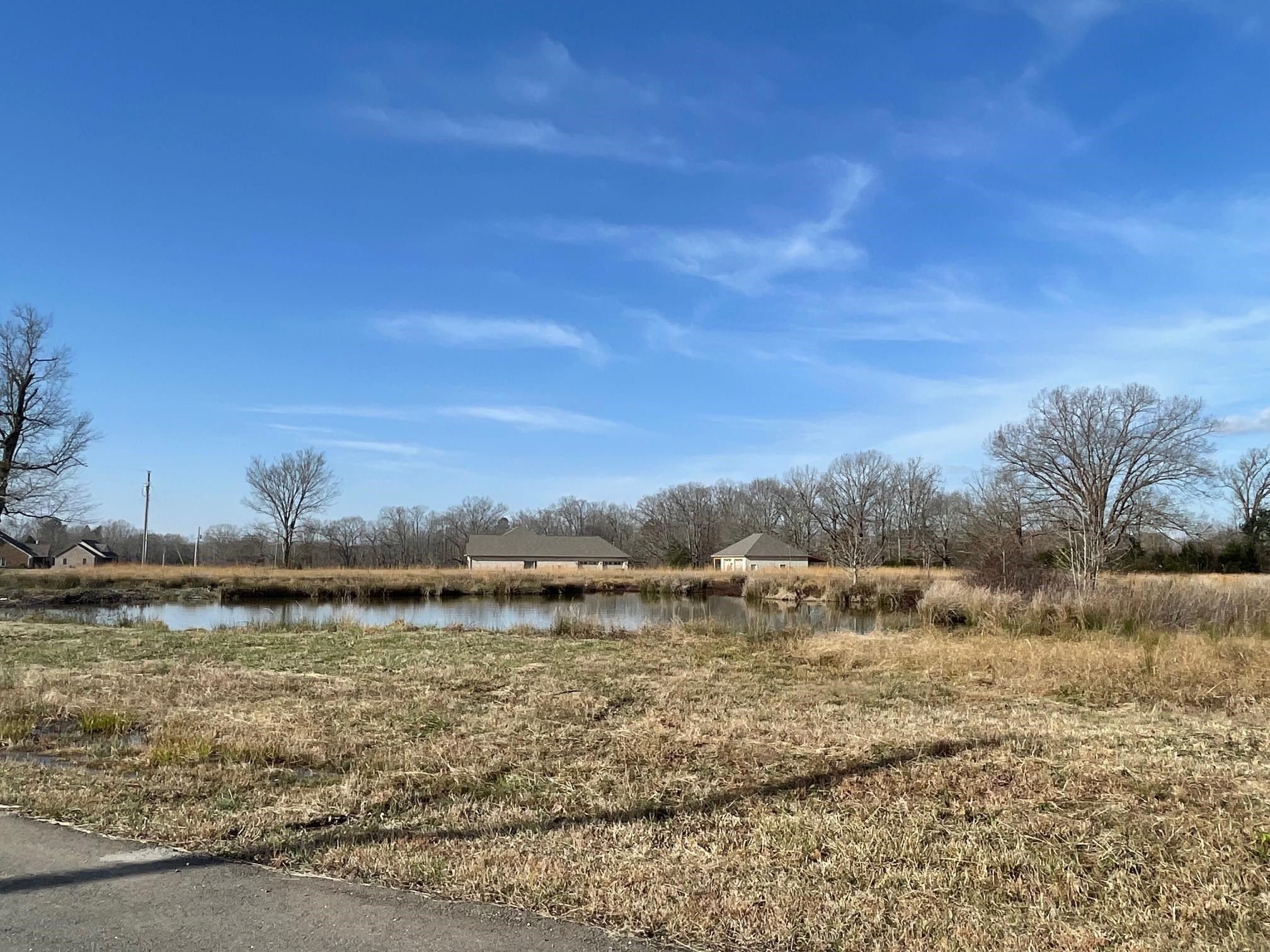 2.5 Acres, 21 GREENBRIAR, Adamsville, TN 38310 | Land and Farm