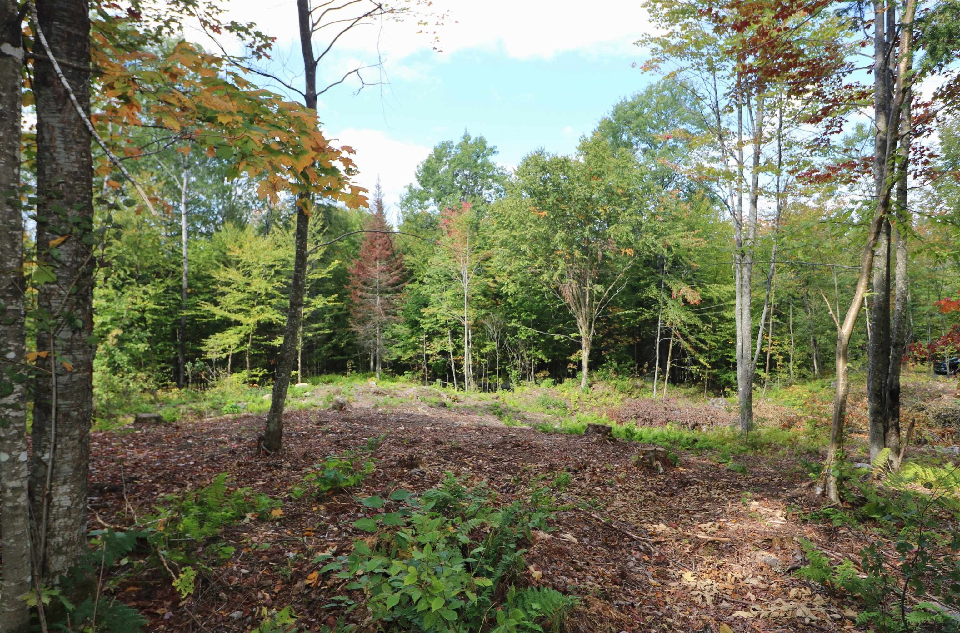11.79 Acres, Map R14 Lot 18 Hill Road, Dummer, NH 03588 | Land and Farm
