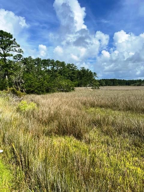 Young Man Road Northeast, Shellman Bluff, GA 31331 | Land and Farm