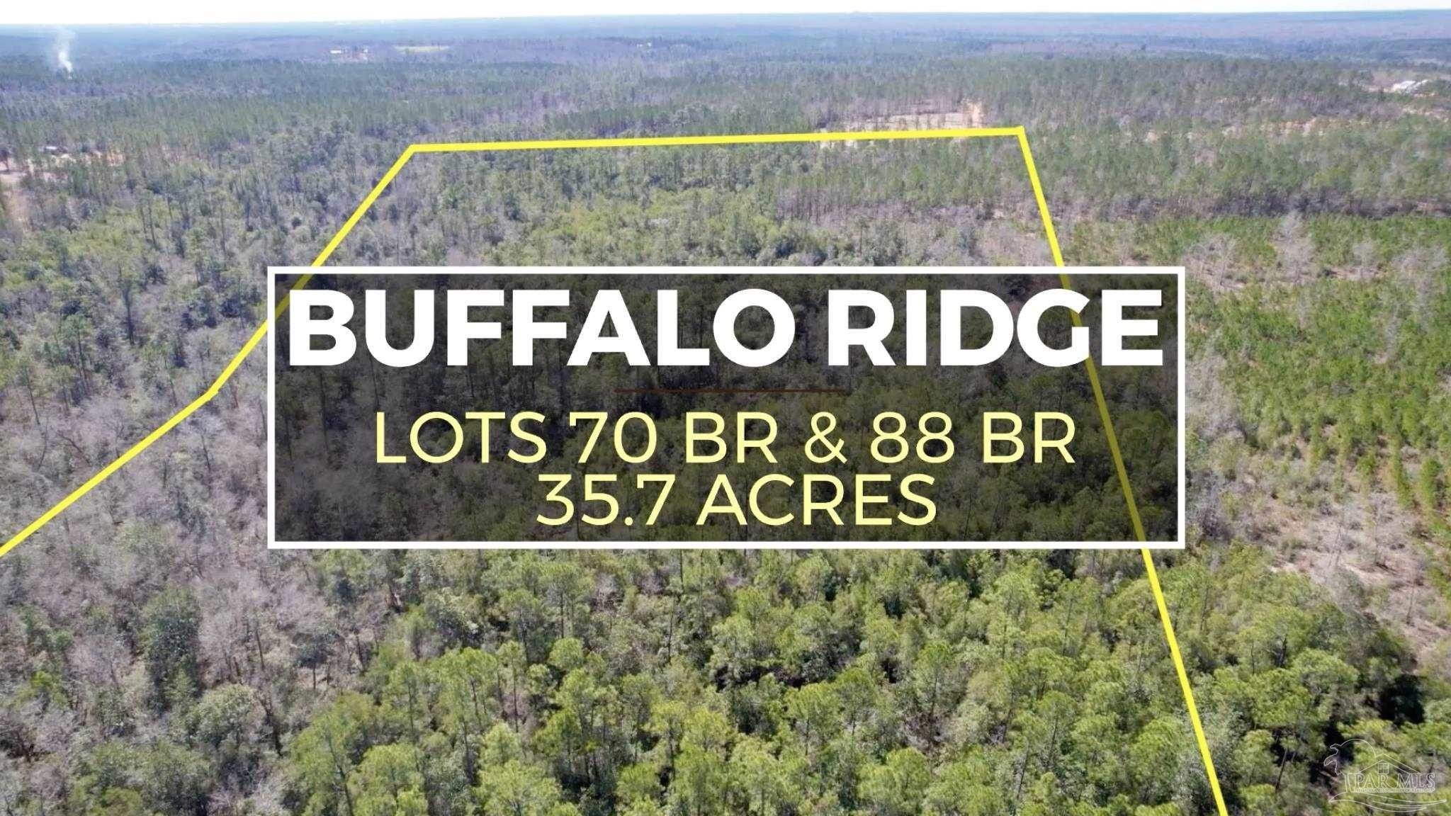 35.7 Acres, Lots 70 + 88 Br Buffalo Ridge Rd, Pace, FL 32571 | Land and ...