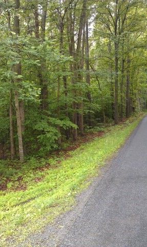 Saxkey Road, Saxe, VA 23967 | MLS: 33821 | Land and Farm