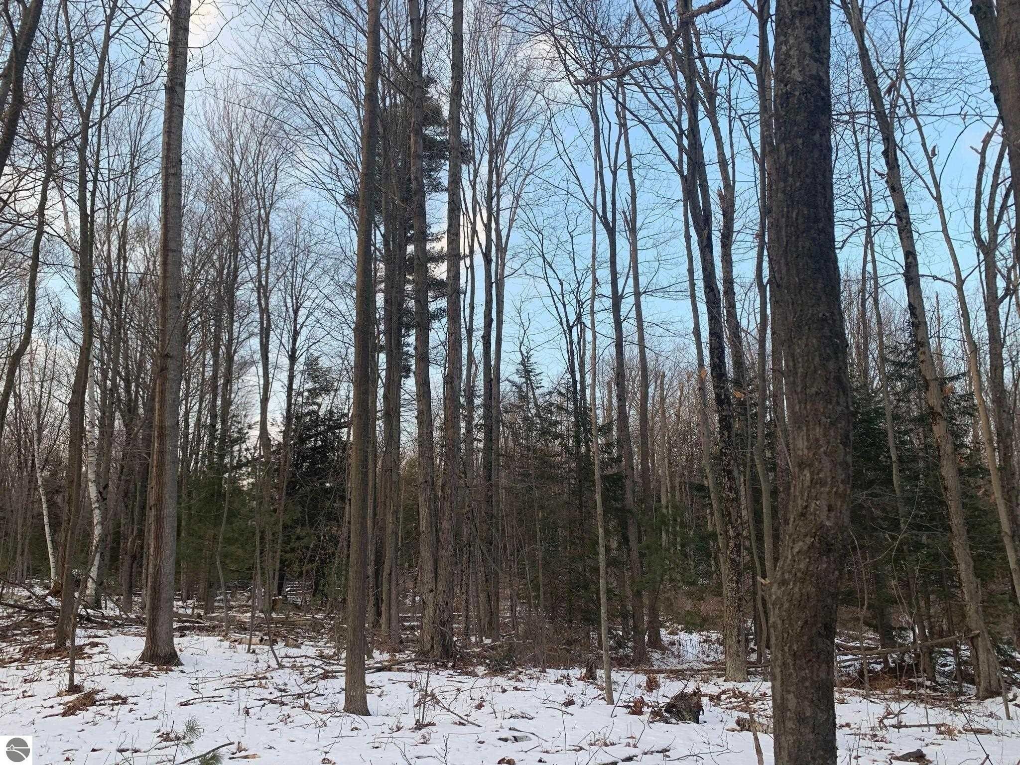 1.06 Acres, 00 Twining Road, Twining, MI 48766 | Land and Farm