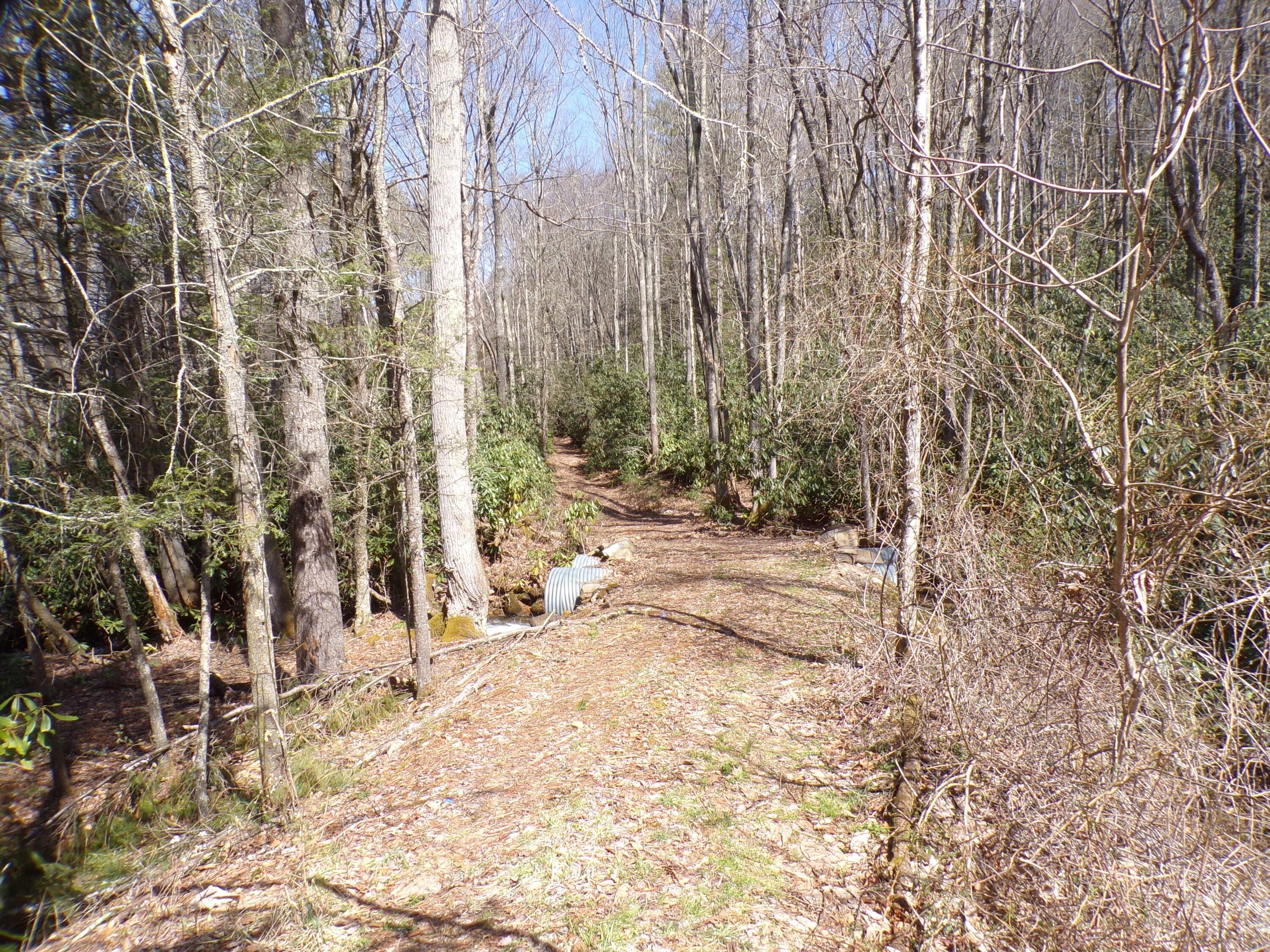 21.74 Acres, Tbd Highway 133, Shady Valley, TN 37688 | Land and Farm