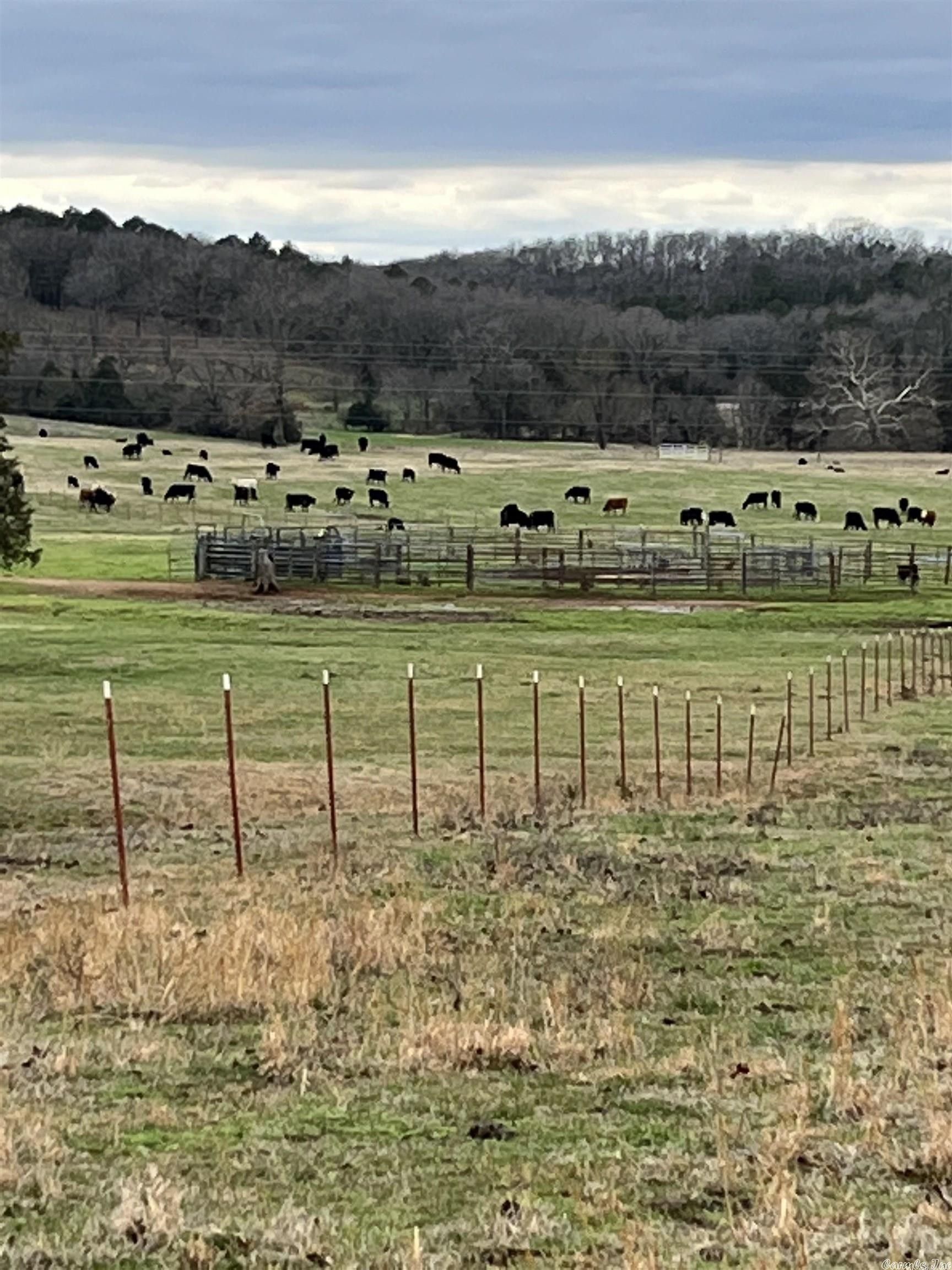 4830 Highway 124, Center Ridge, AR 72027 | MLS: 22009249 | Land and Farm