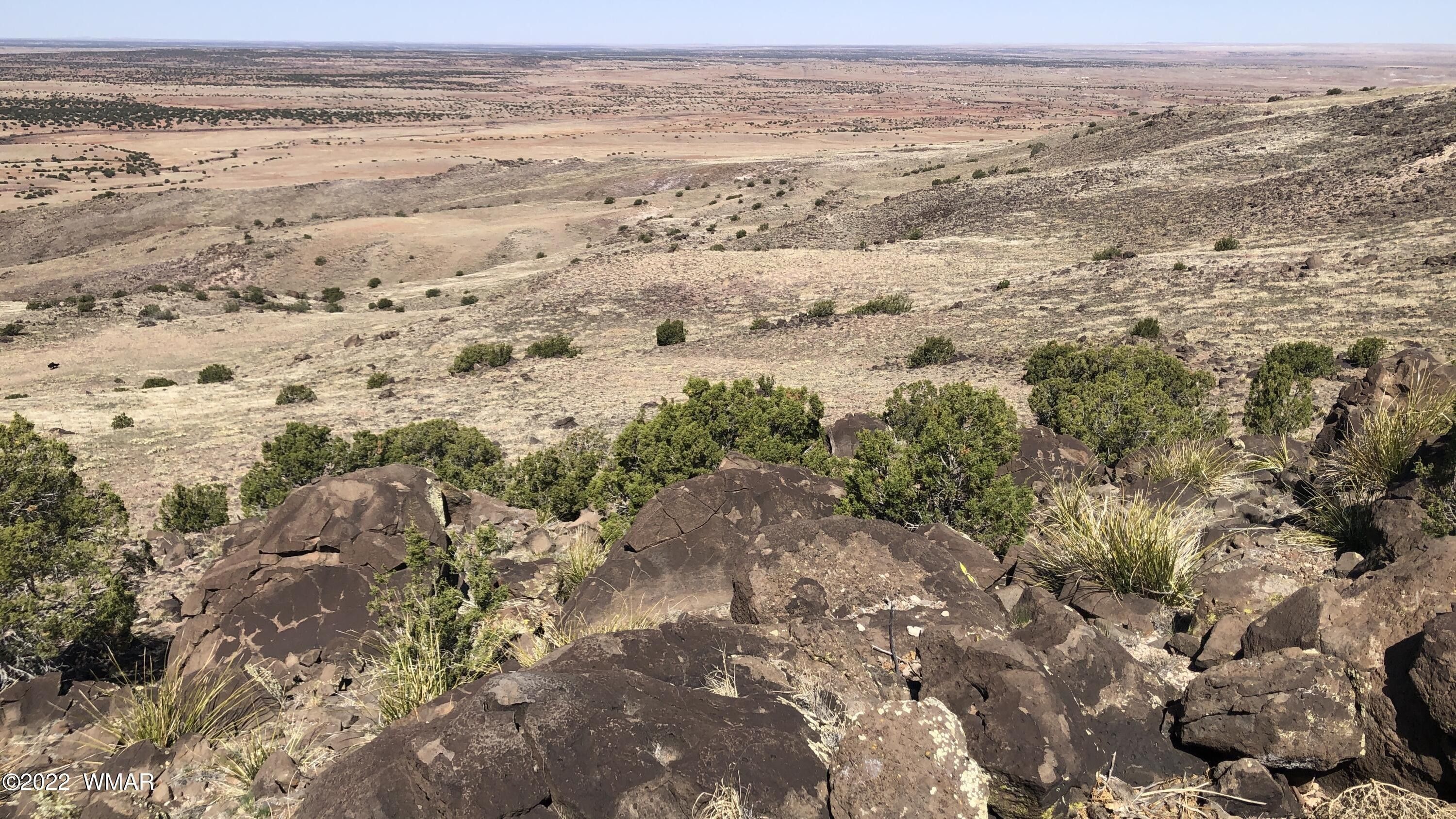 40 Acres, Lot 40 Big Valley Ranch, Concho, AZ 85924 | Land and Farm