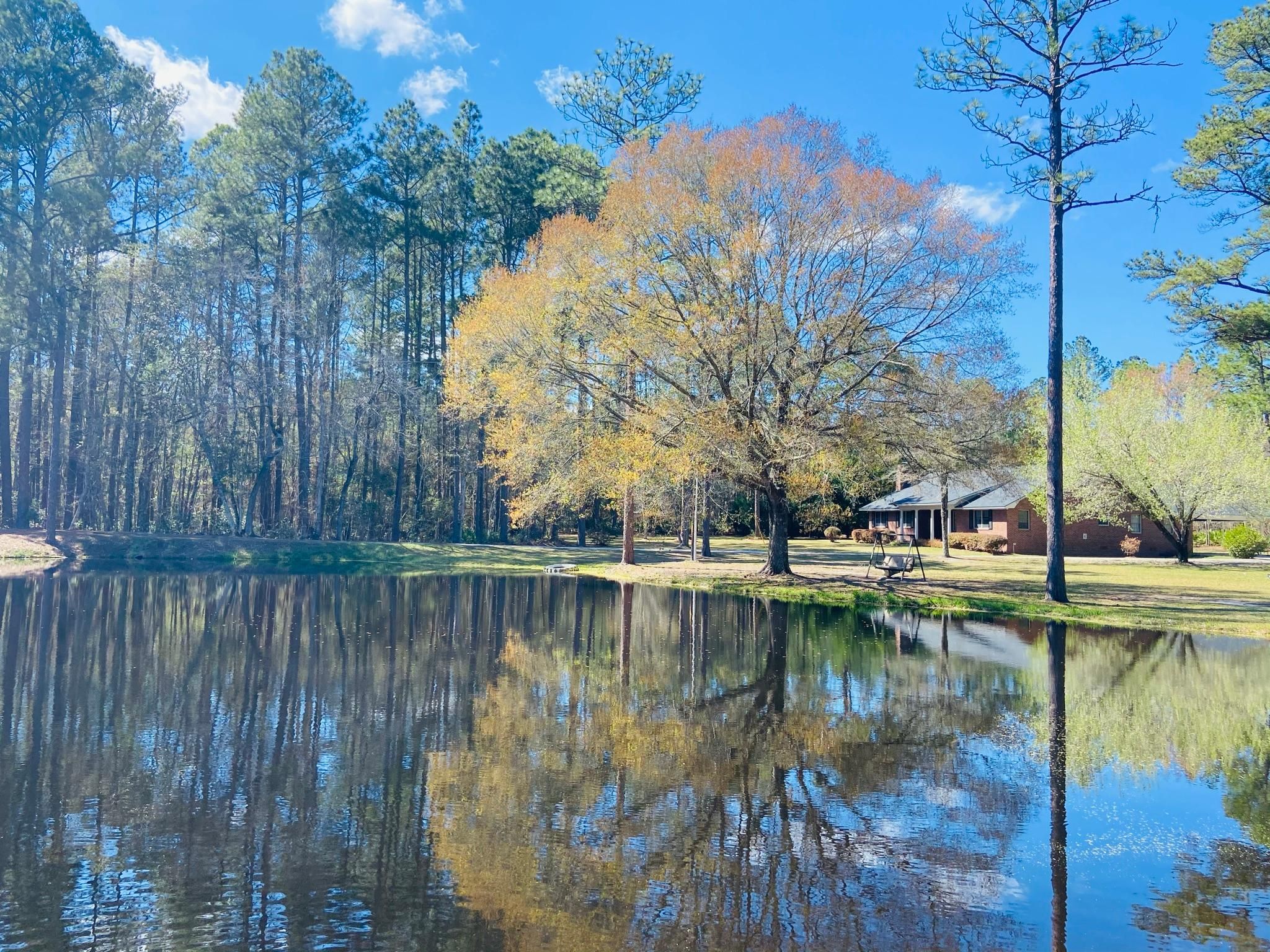 6736 Hwy 129 S, Claxton, GA 30417 | MLS: 20030038 | Land and Farm