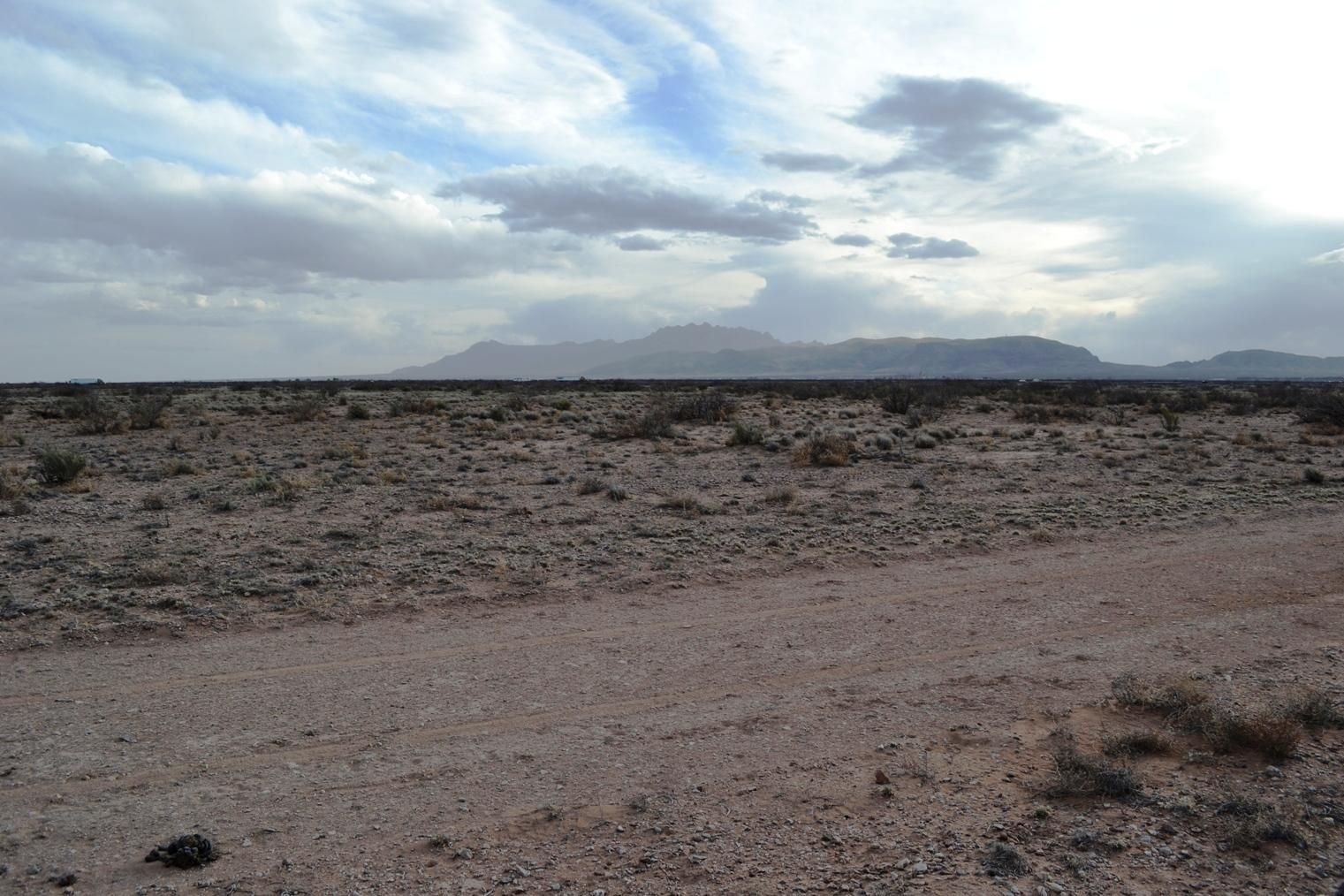 1 acres in Deming, NM, 88030 | MLS: C-2022017 | Land and Farm