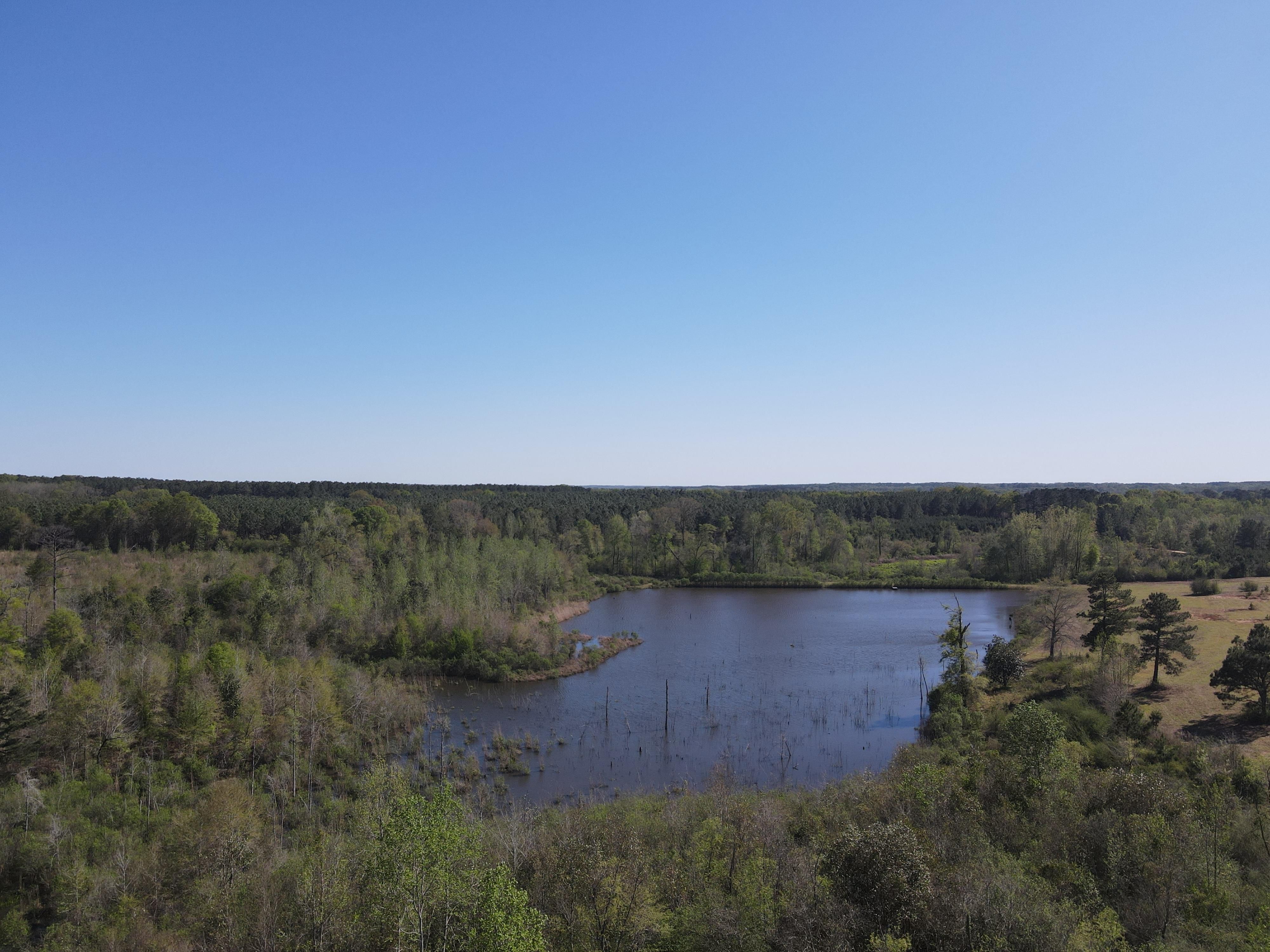 Lofton road, Troy, AL 36081 | MLS: Lofton Road Lake Tract | Land and Farm
